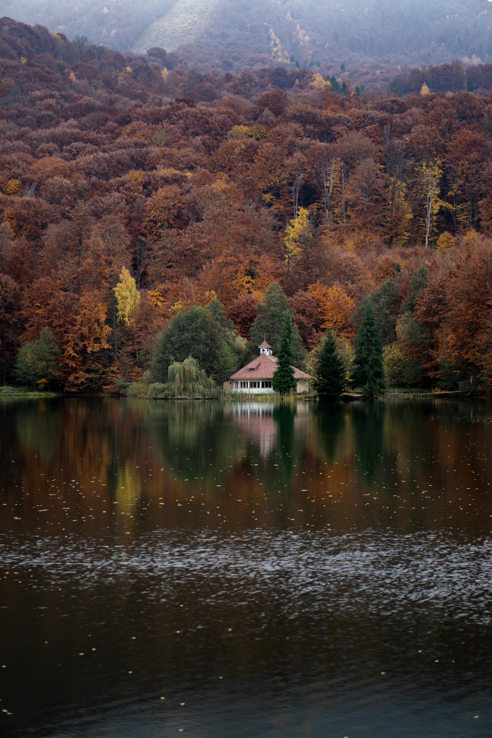 Nature House Photos, Download The BEST Free Nature House Stock Photos ...