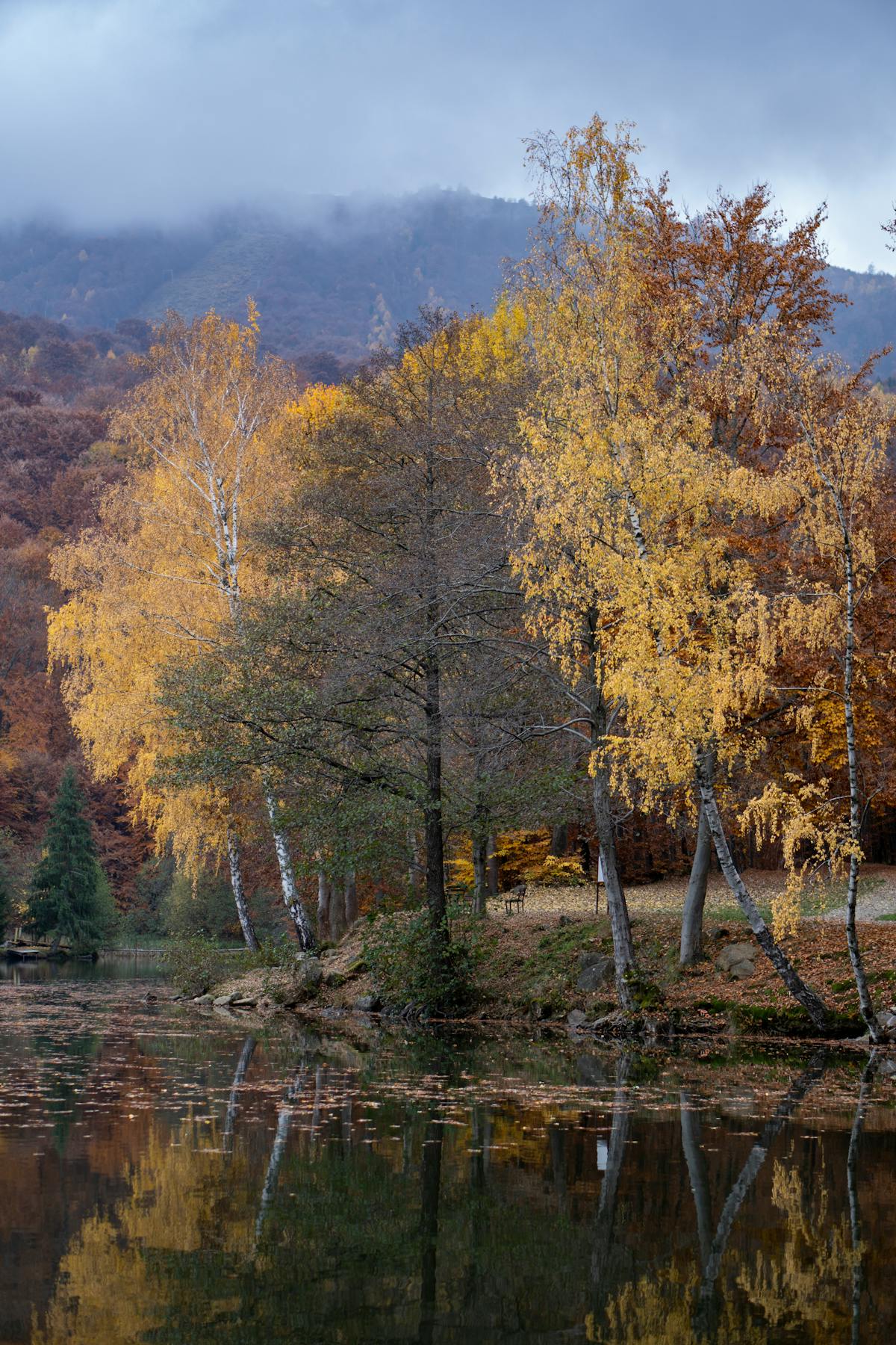 Yellow Landscape Photos, Download The BEST Free Yellow Landscape Stock ...
