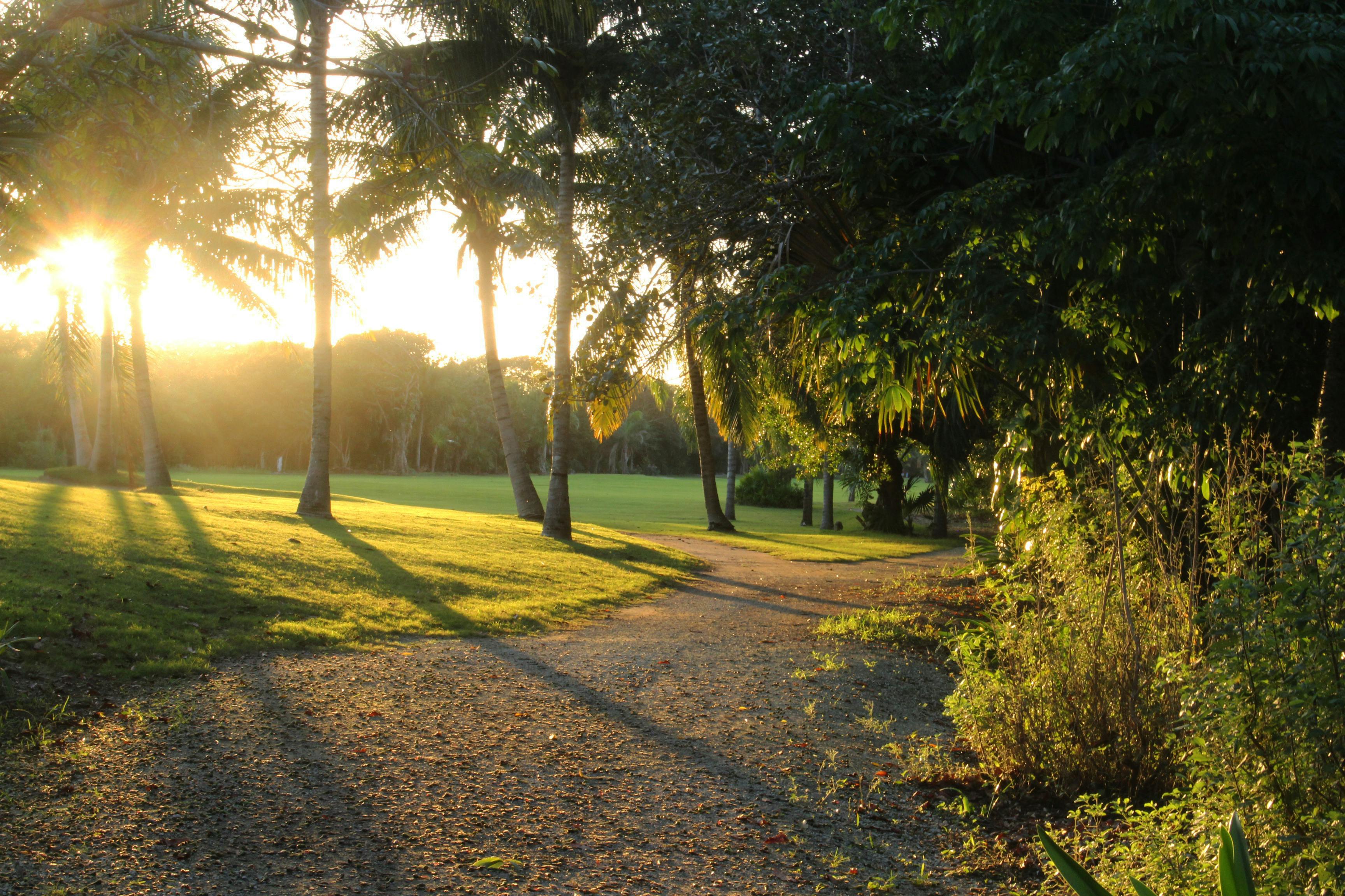 Free stock photo of golf, golf course, golf field