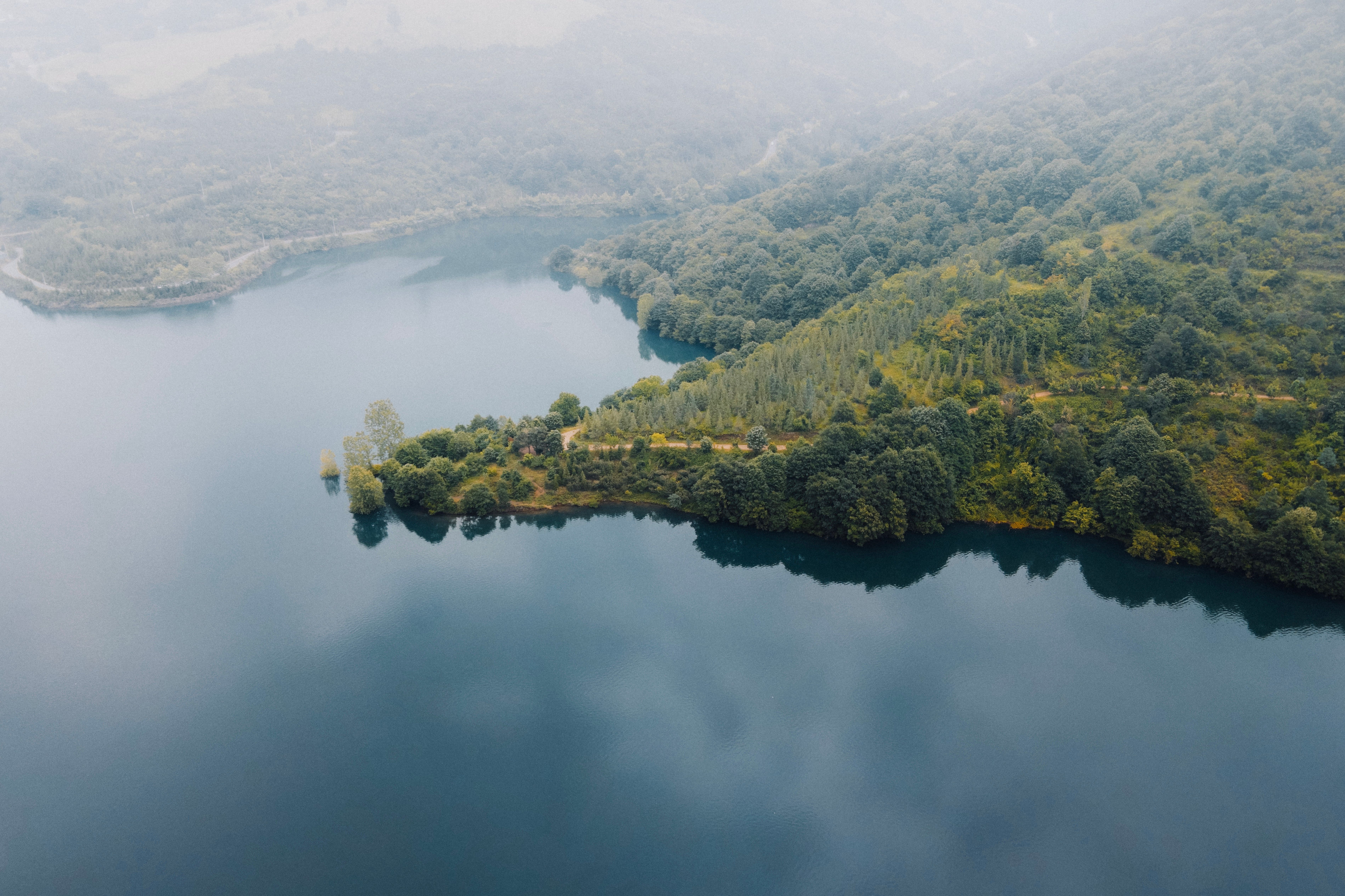 Aerial View of Lush Green Peninsula and Lake · Free Stock Photo
