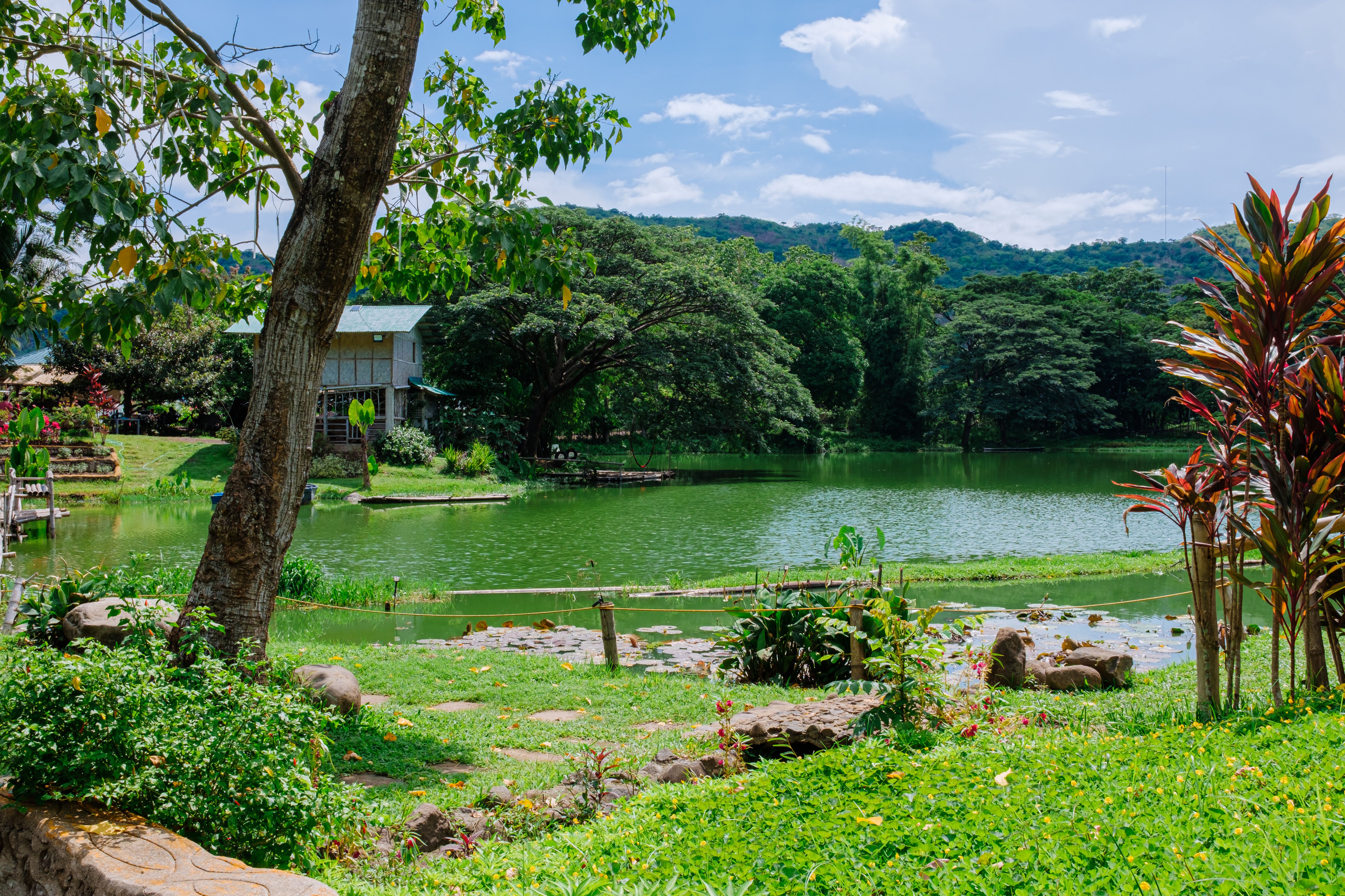 Serena Vista Al Lago Con Exuberante Vegetación · Foto de stock gratuita