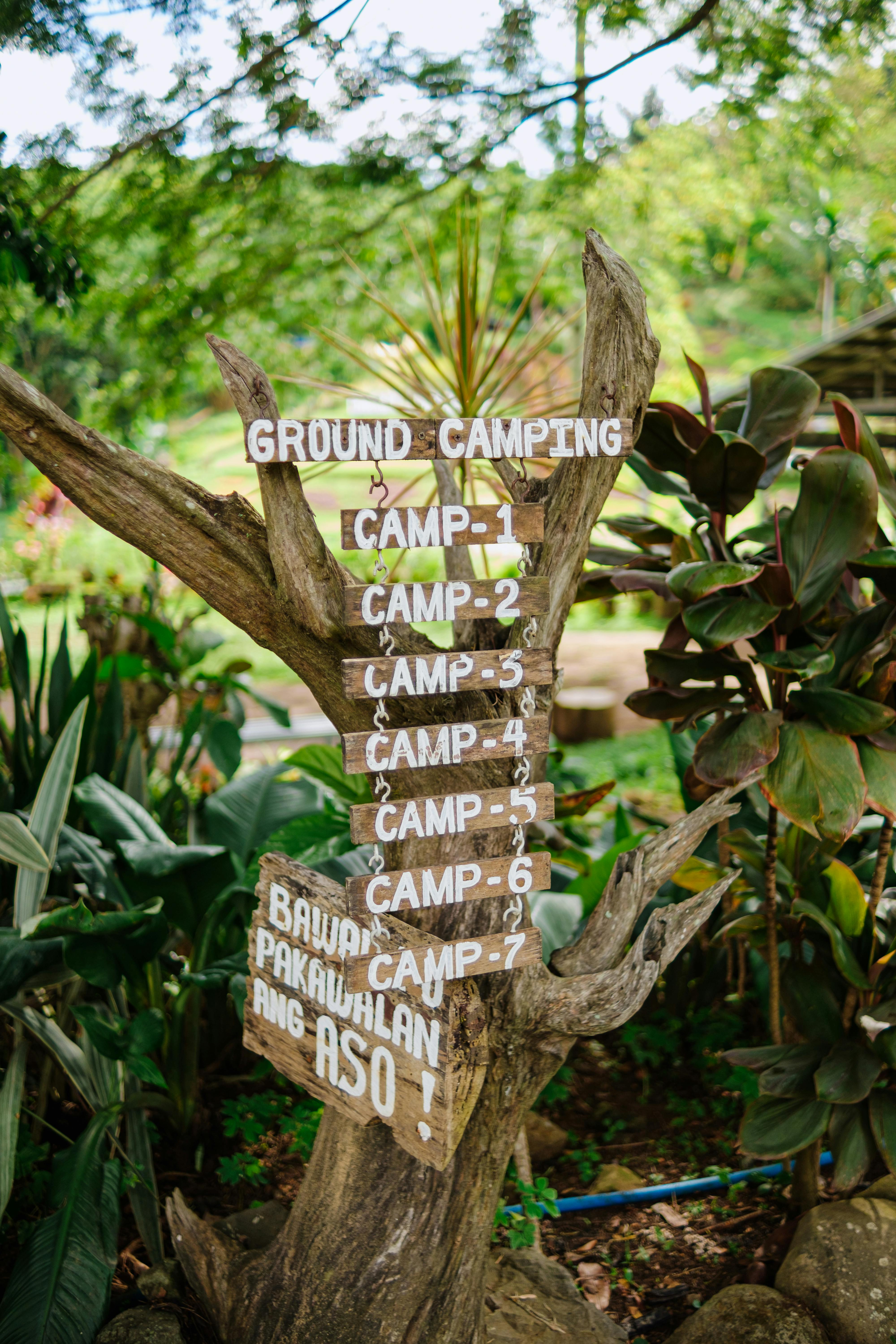Rustic Wooden Camping Signpost in Forest · Free Stock Photo