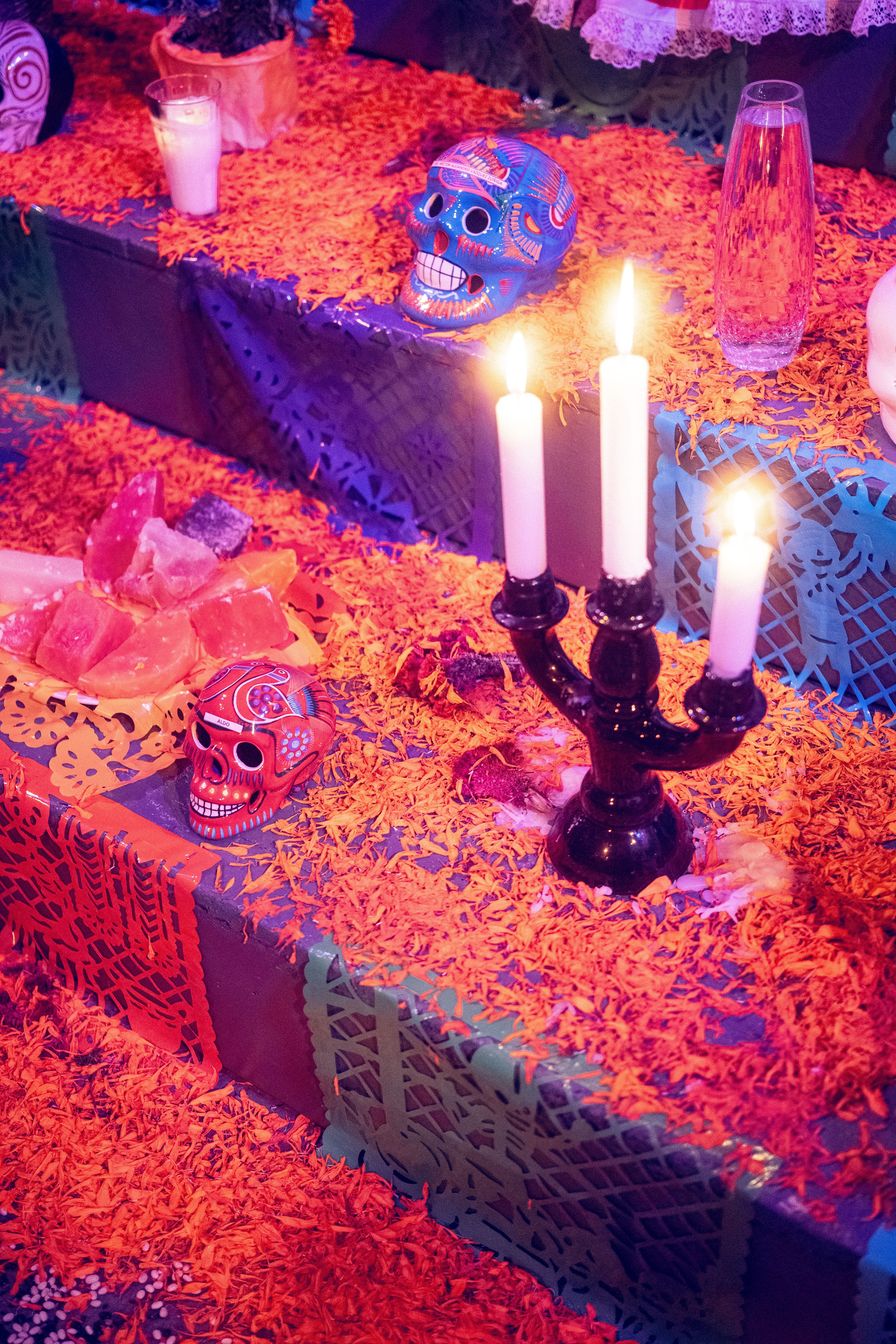 Foto de stock gratuita sobre altar, altar de muertos, altar del dia de ...
