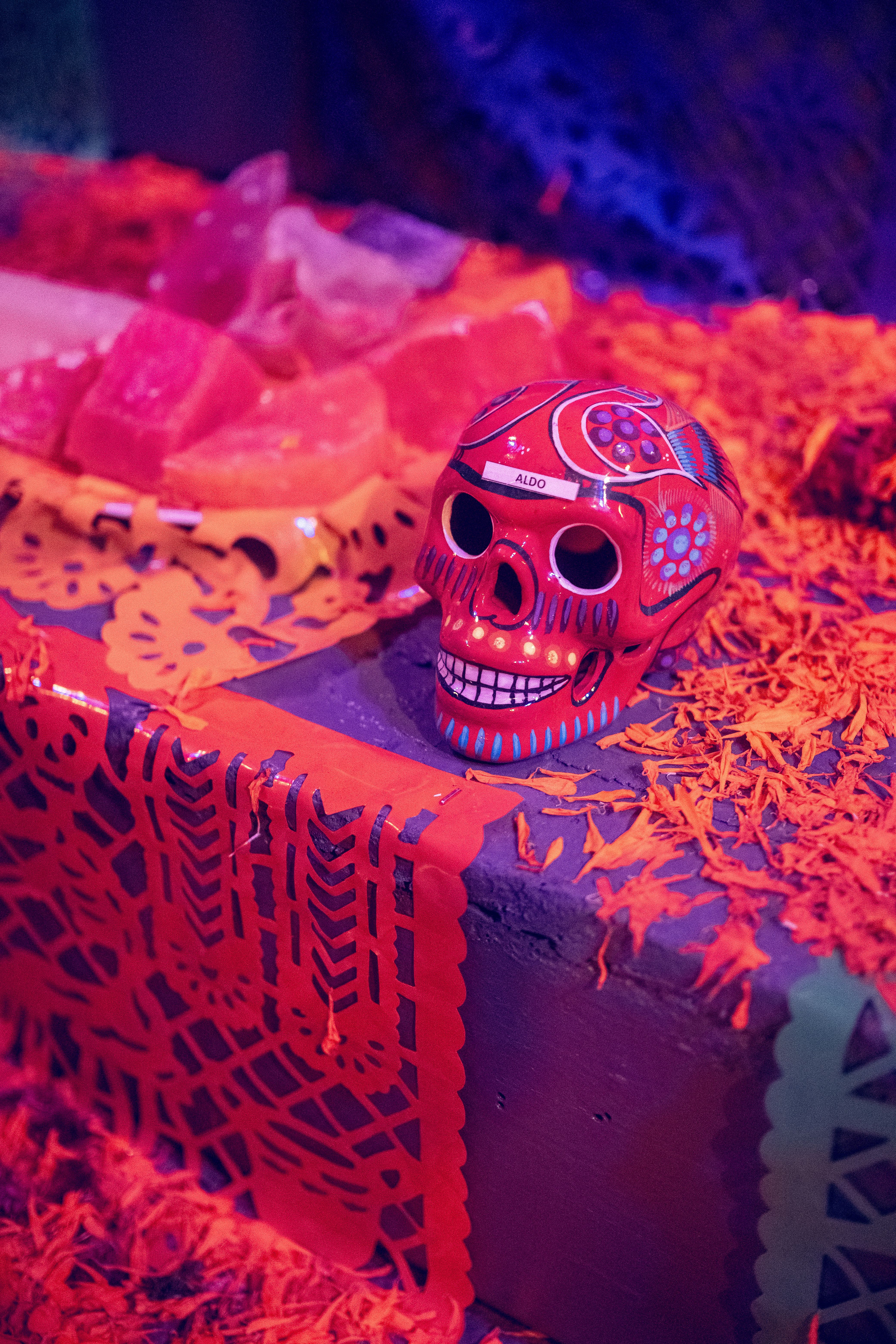 Altar Vibrante Del Día De Los Muertos Con Calavera De Azúcar · Foto de ...