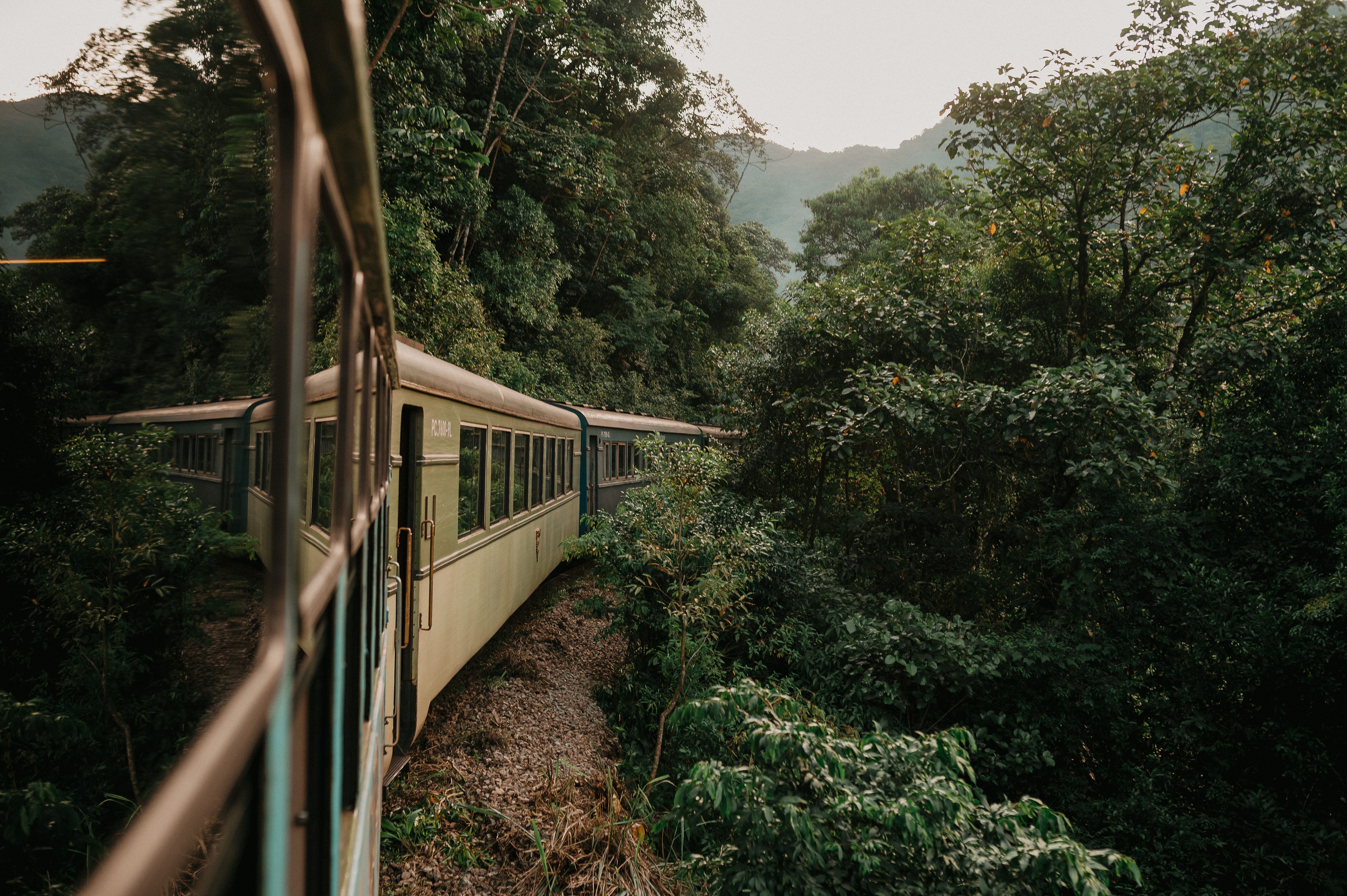 Scenic Train Journey Through Lush Greenery · Free Stock Photo