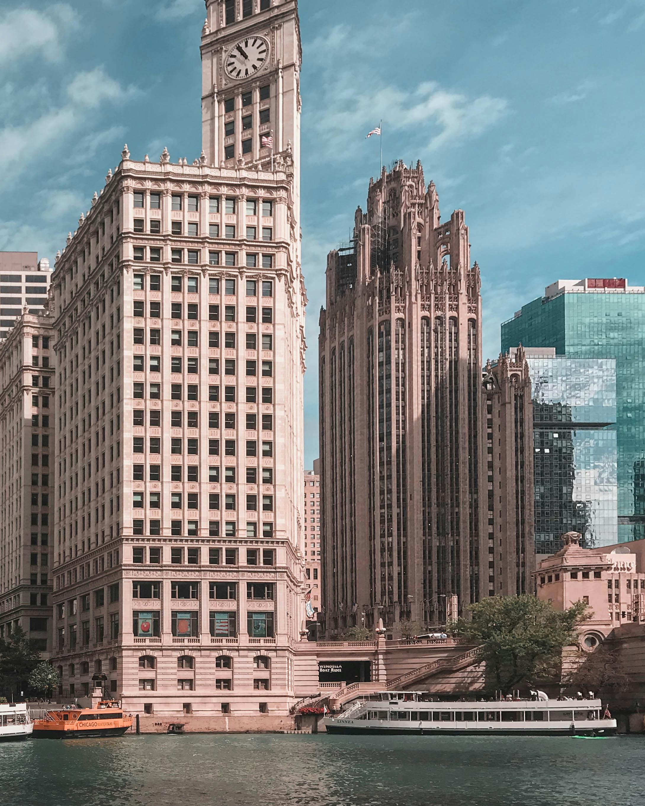 High Rise Buildings Near Green Leaf Trees Under White Sky during ...