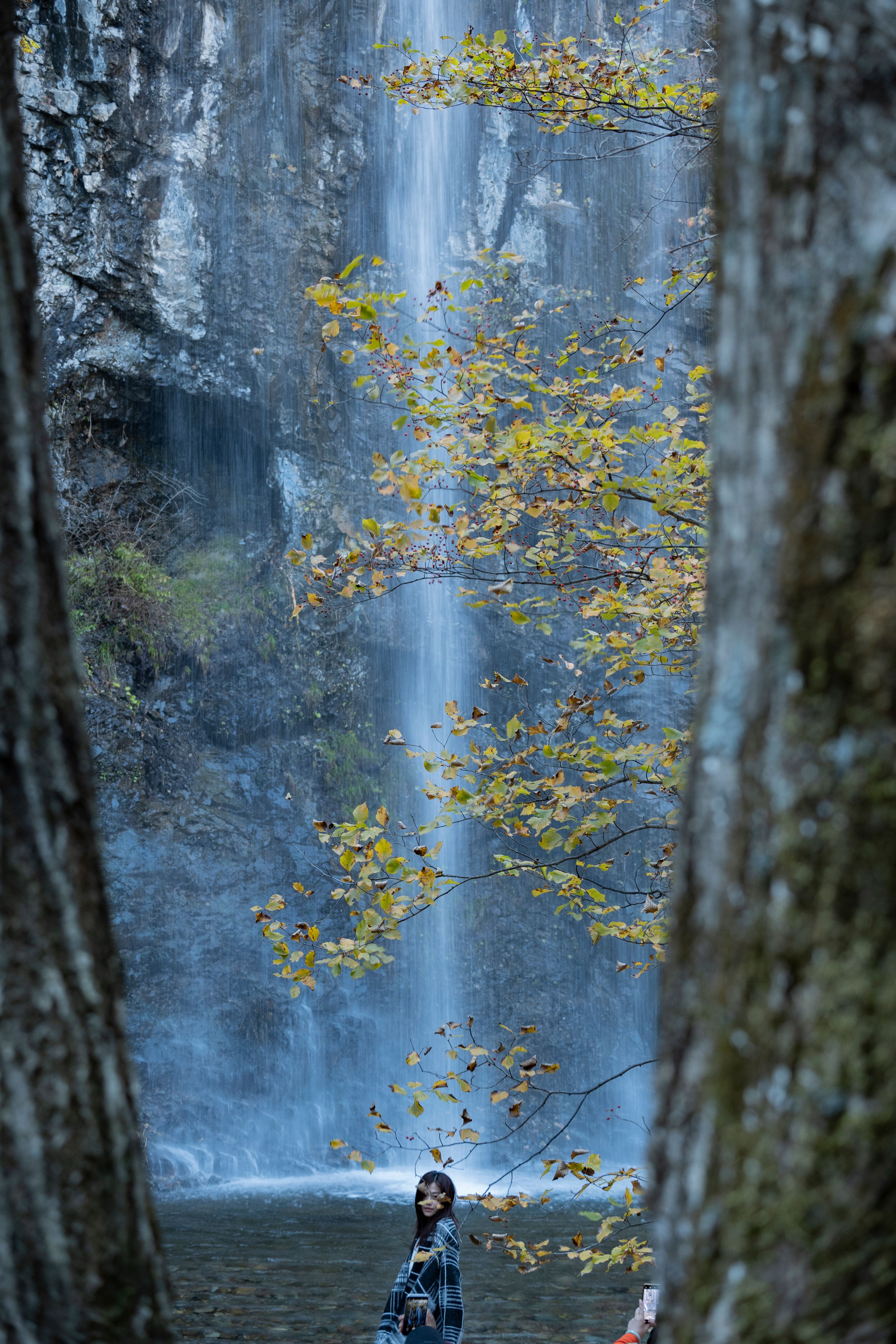 Tendeka Cascade Photos, Download The BEST Free Tendeka Cascade Stock ...