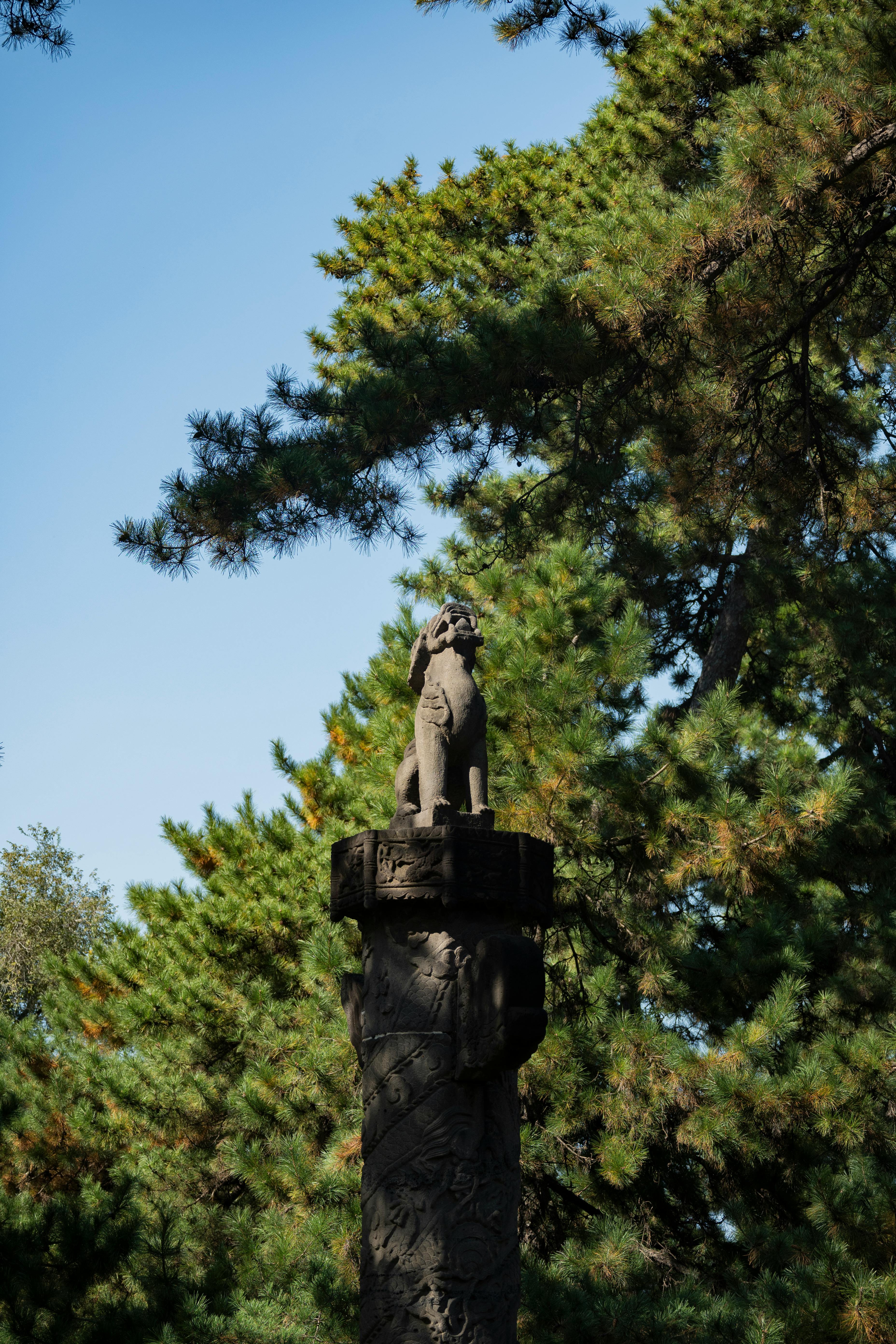 Column Statue Photos, Download The BEST Free Column Statue Stock Photos ...