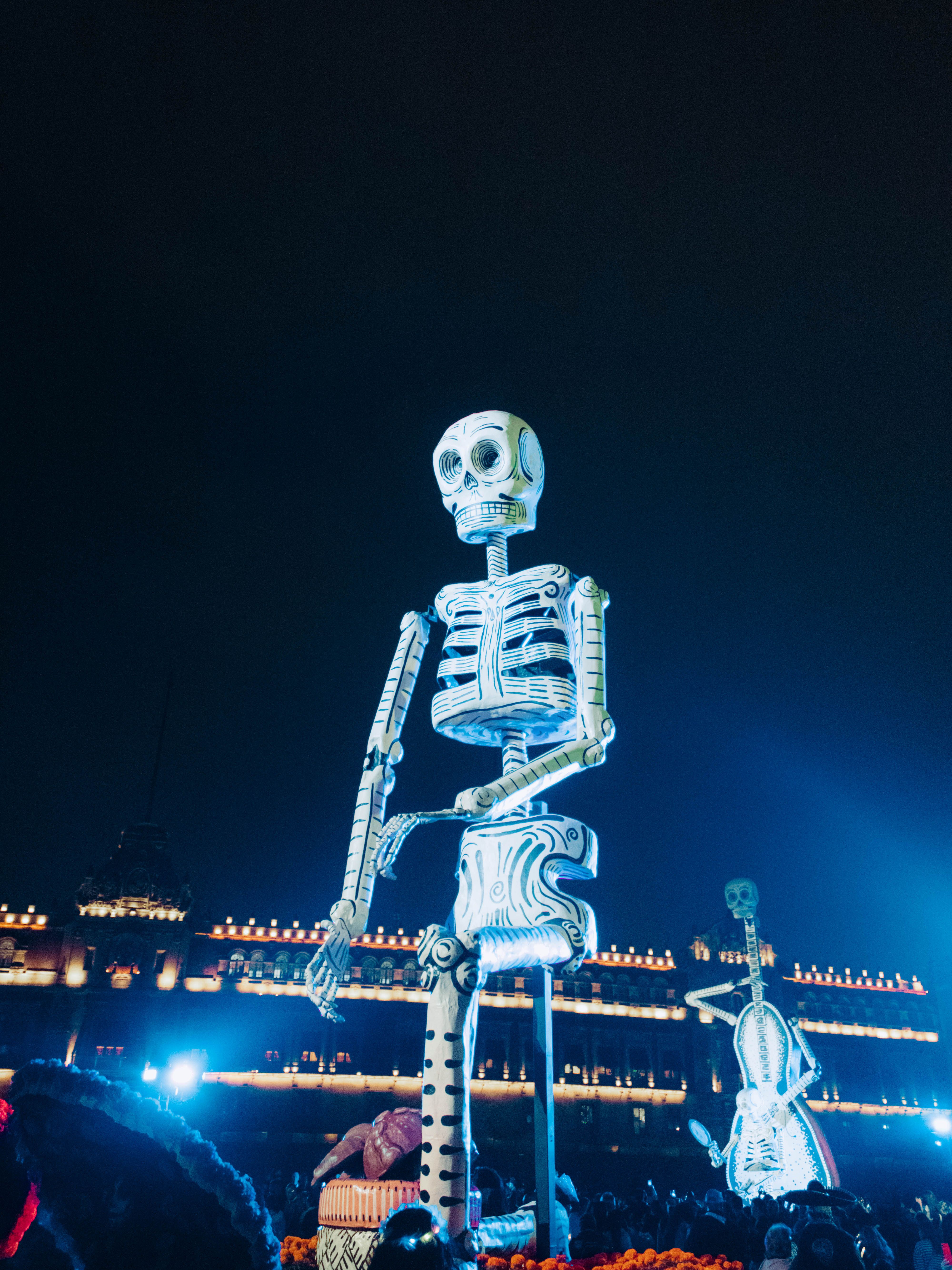 Giant Skeletons Celebrating Día de Muertos in Mexico City · Free Stock ...