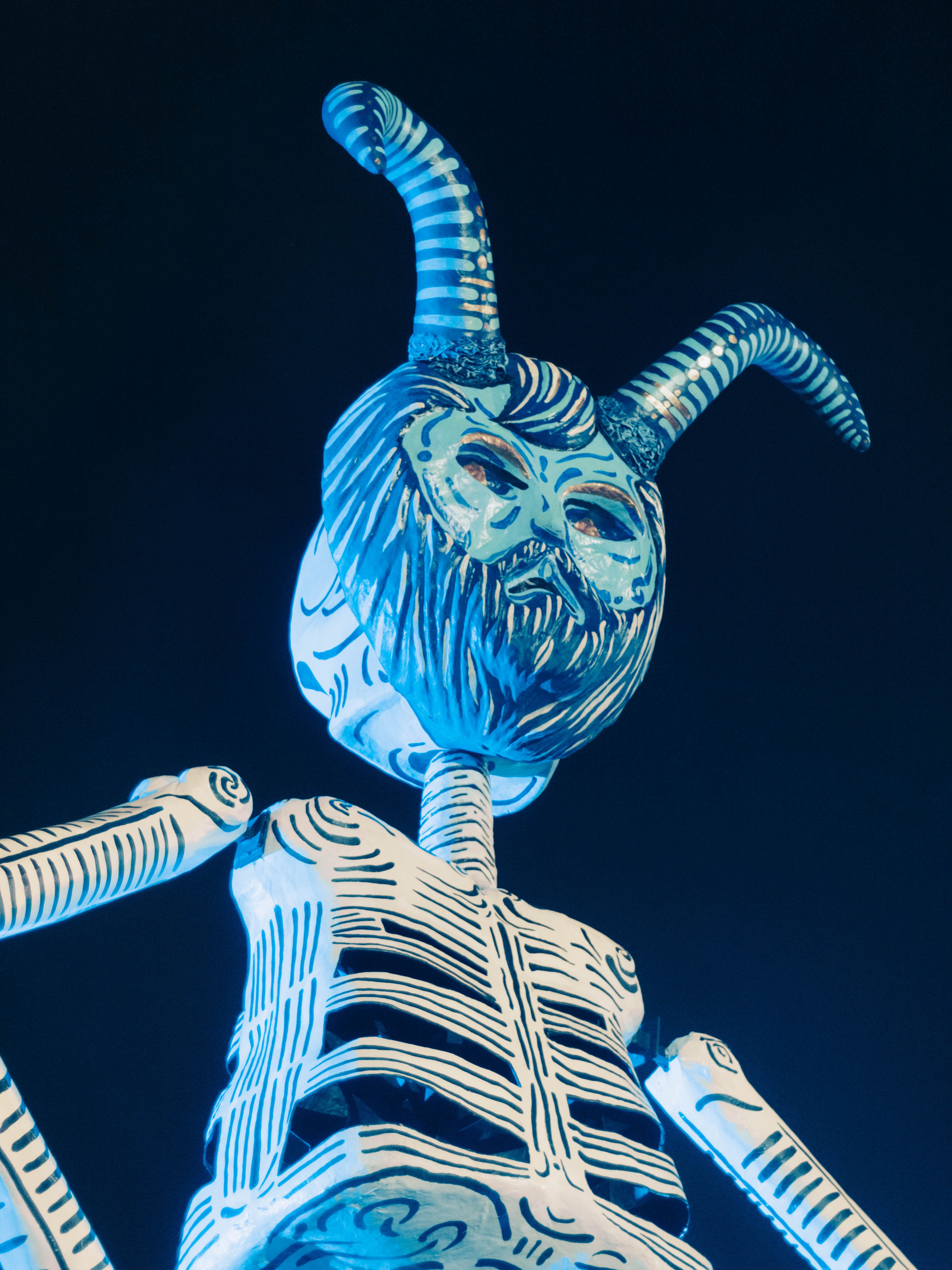 Colorful Skeleton Figure at Night Festival · Free Stock Photo