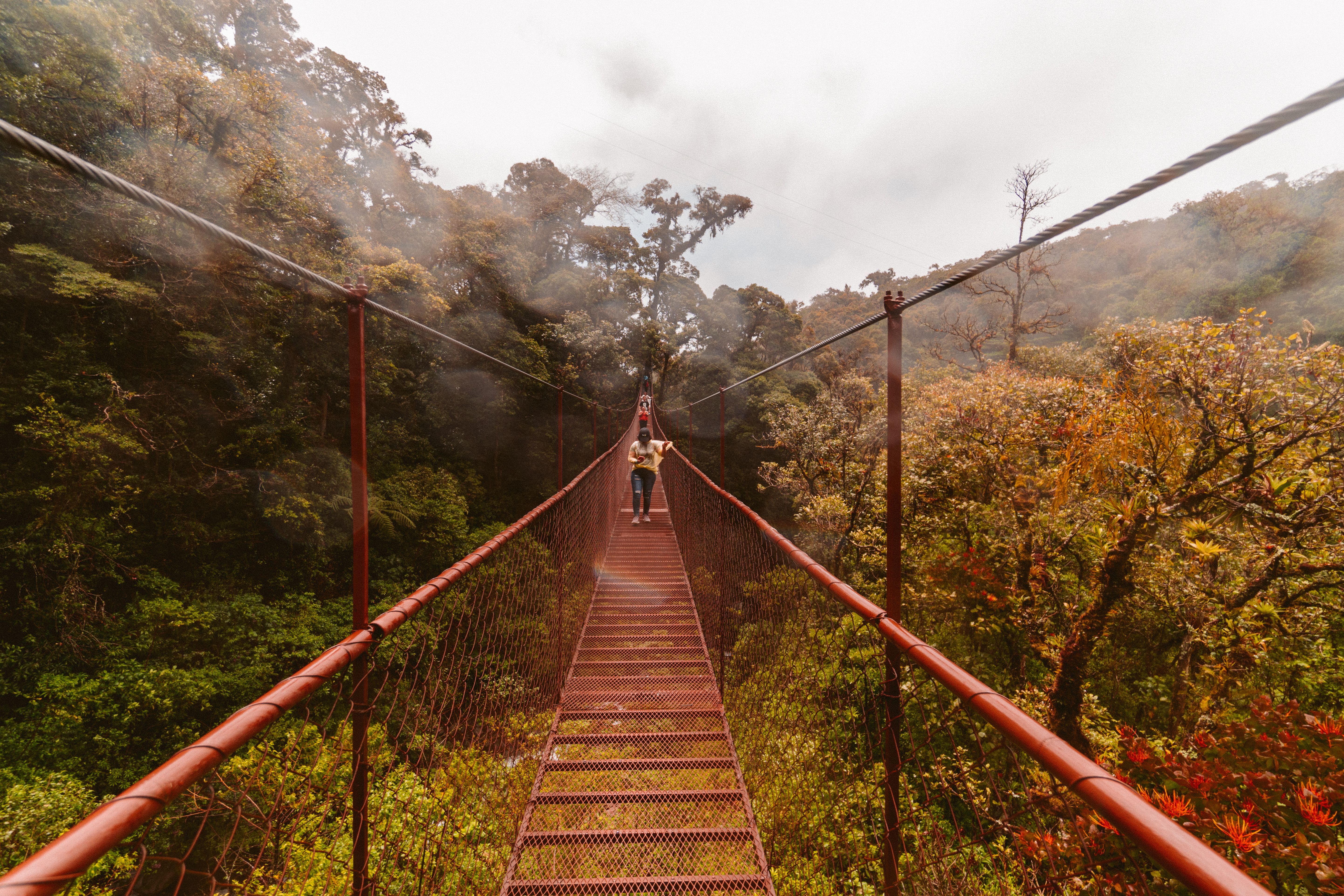 Person Walking on Hanging Bridge · Free Stock Photo