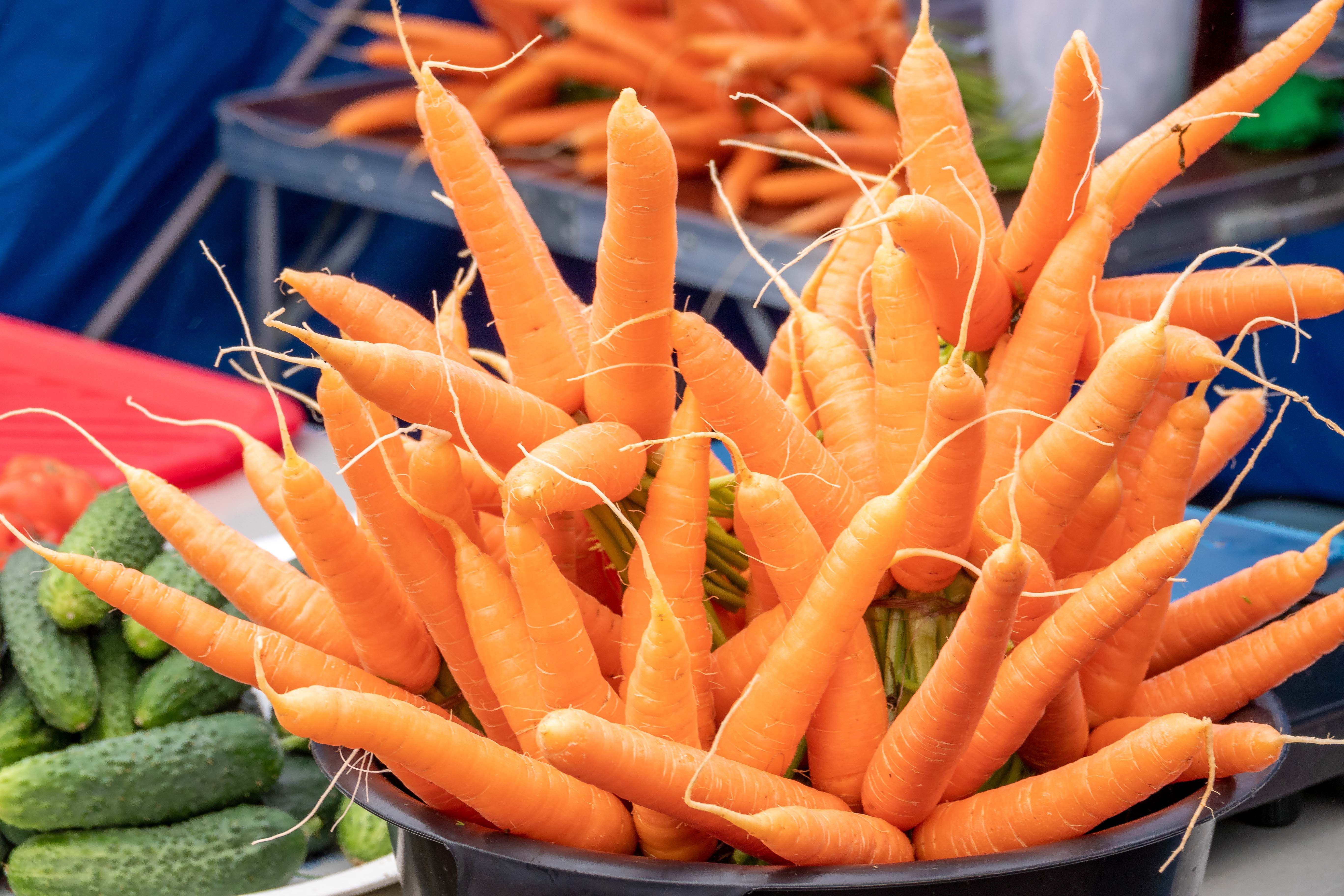 Bunch of Fresh Carrots at Farmers Market · Free Stock Photo