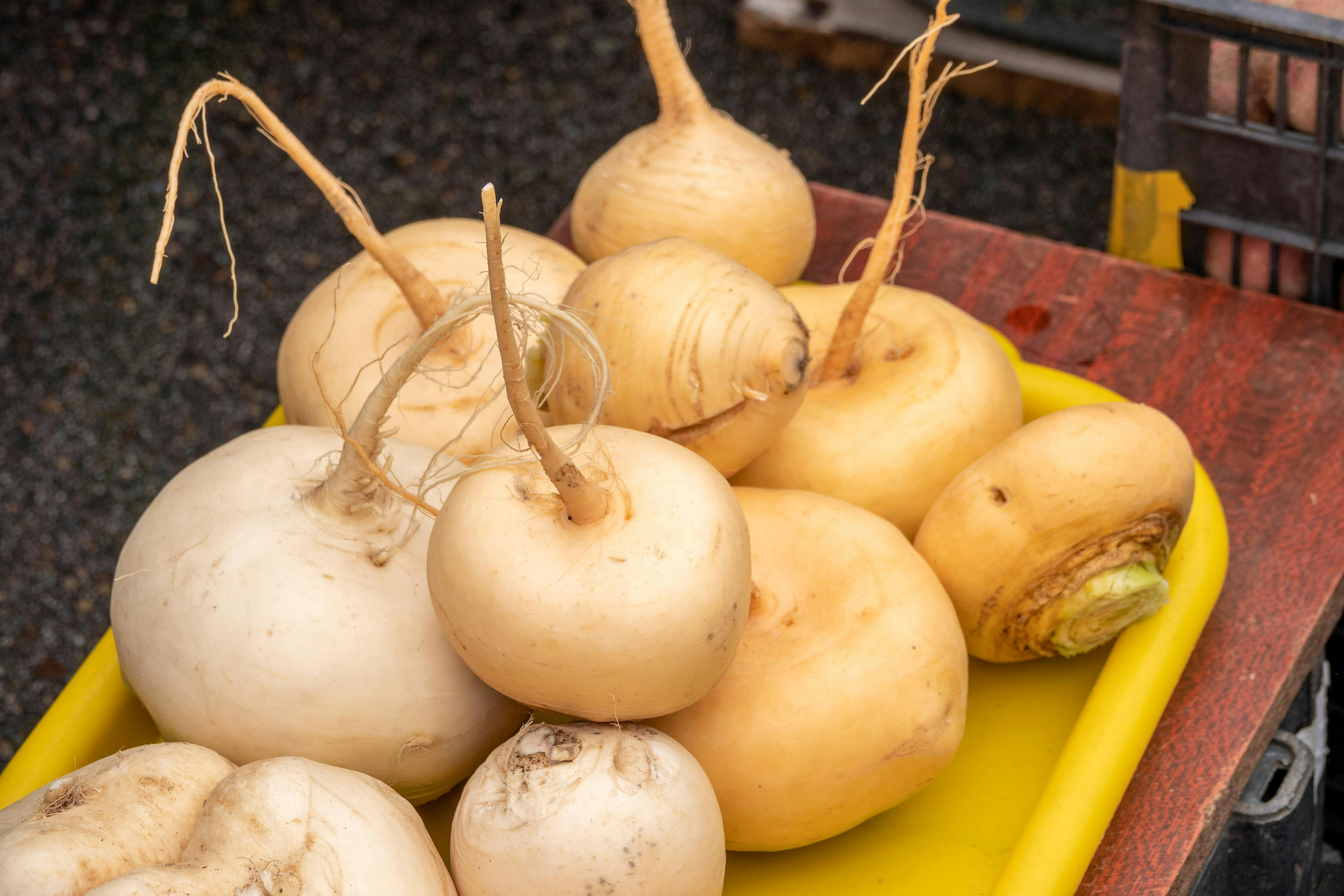 Fresh Turnips in Vibrant Market Display · Free Stock Photo