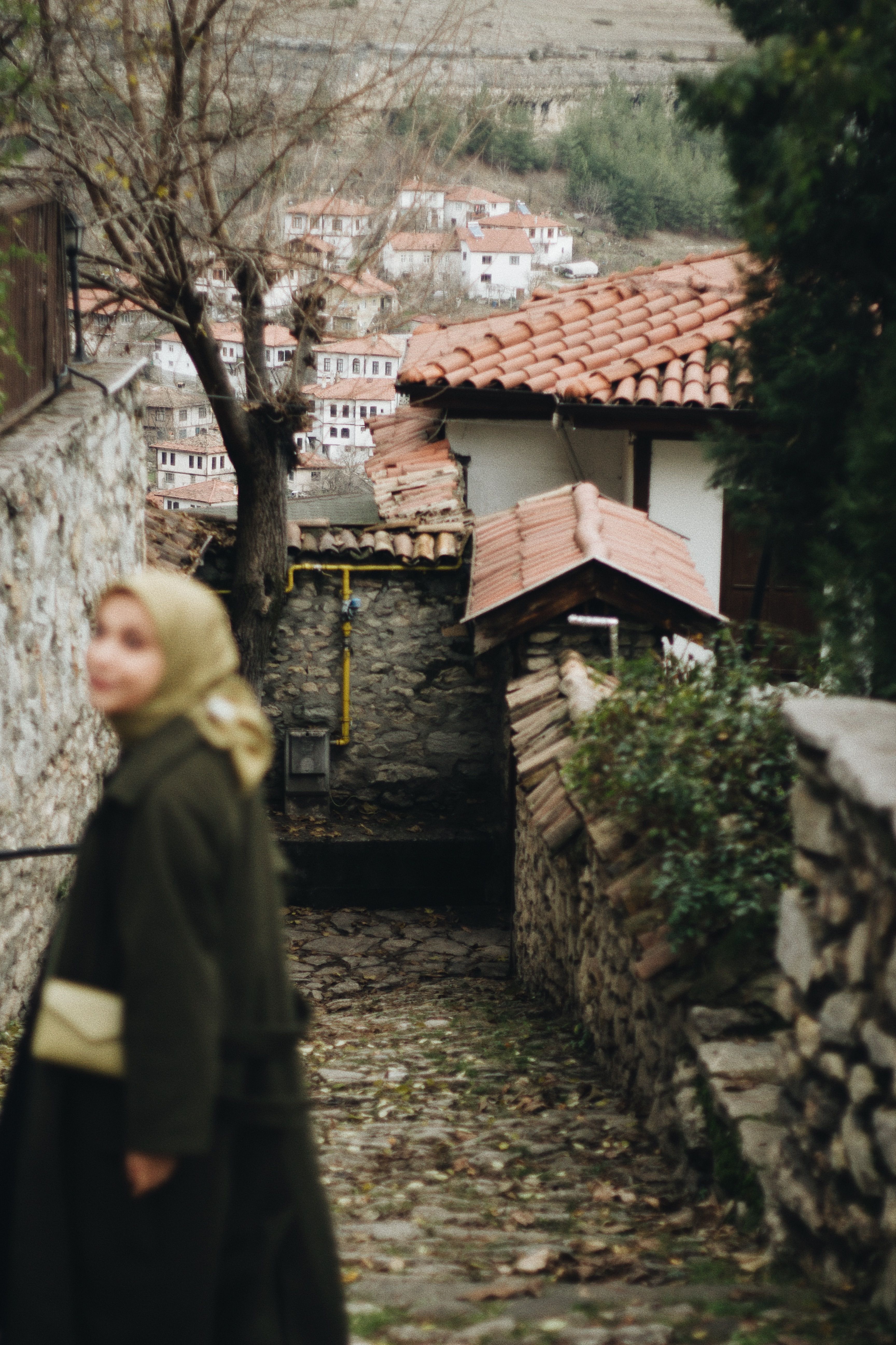 Rustic Village Scene with Cobblestone Pathway · Free Stock Photo