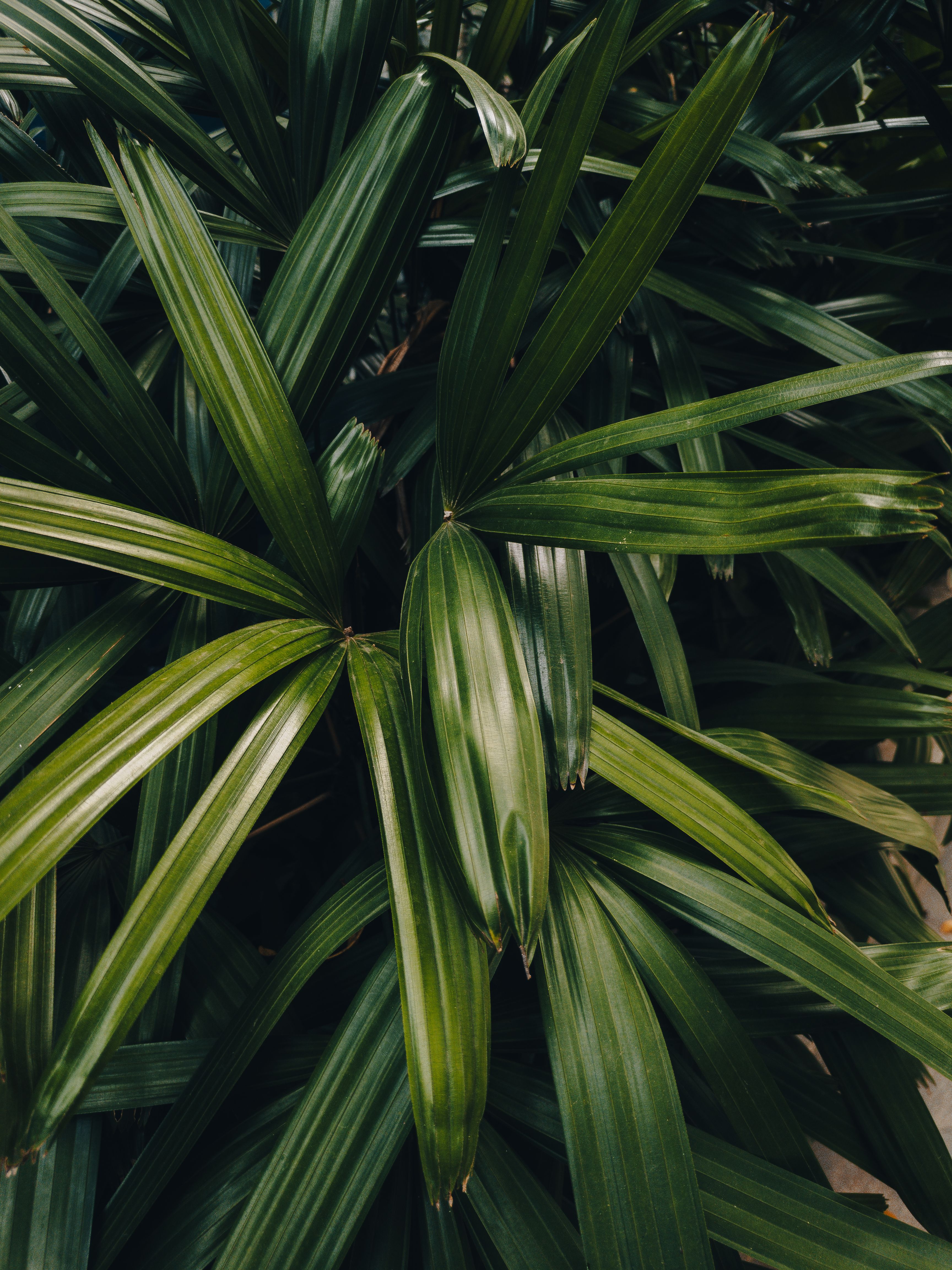 Pixel Wallpaper Photos, Download The BEST Free Pixel Wallpaper Stock ...