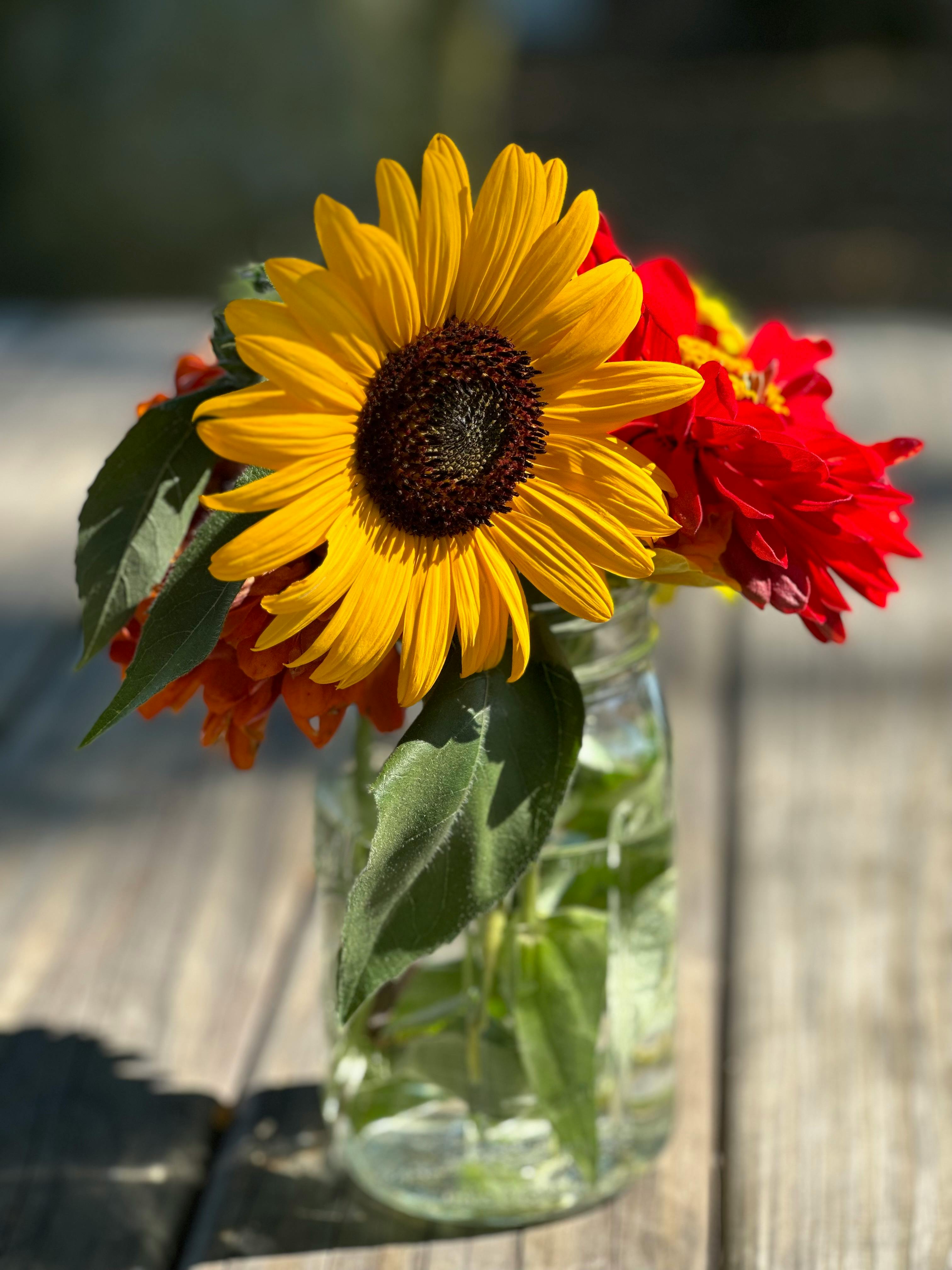 Mason Jar Photos, Download The BEST Free Mason Jar Stock Photos & HD Images