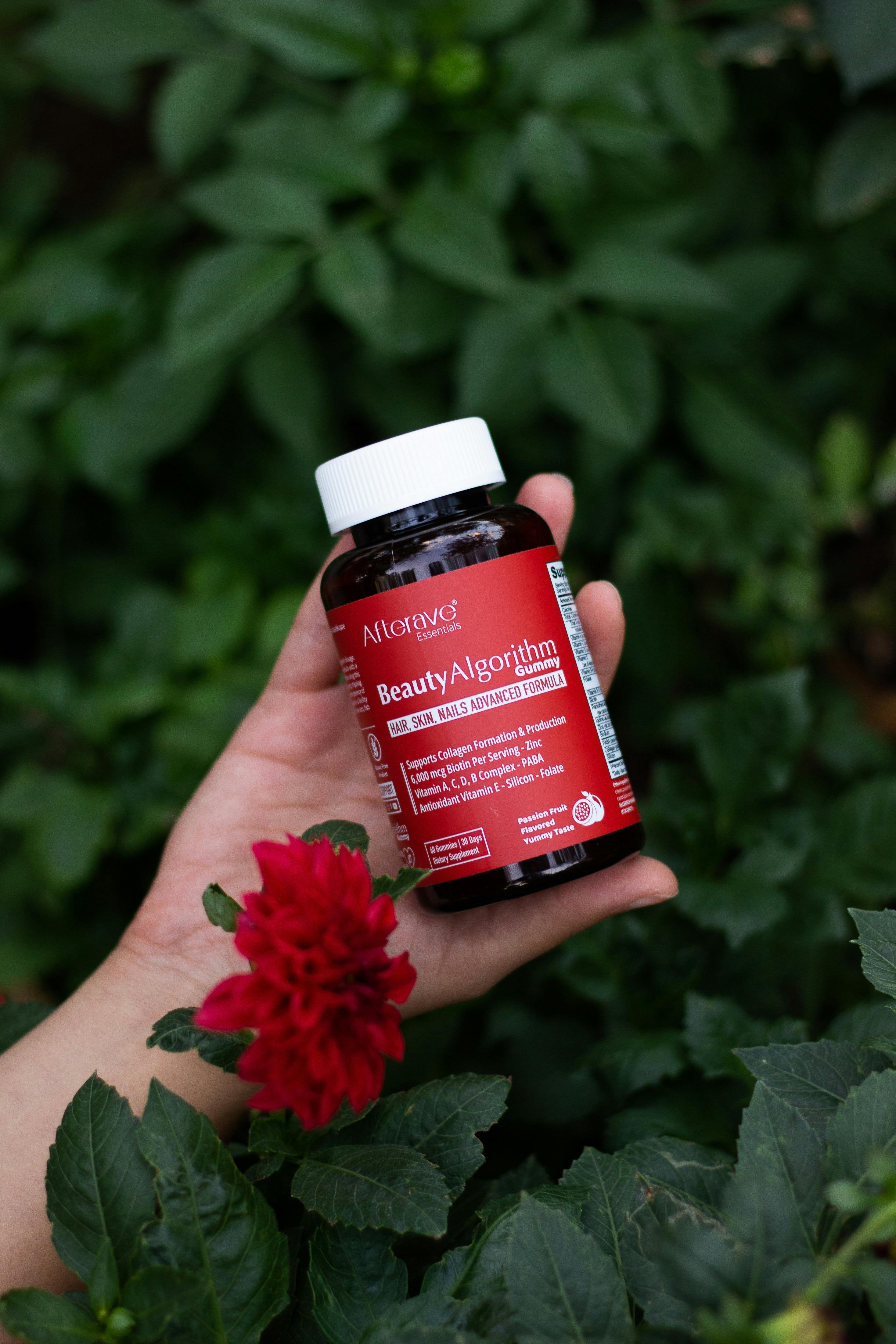 Revit Meio Photos, Download The BEST Free Revit Meio Stock Photos & HD ...