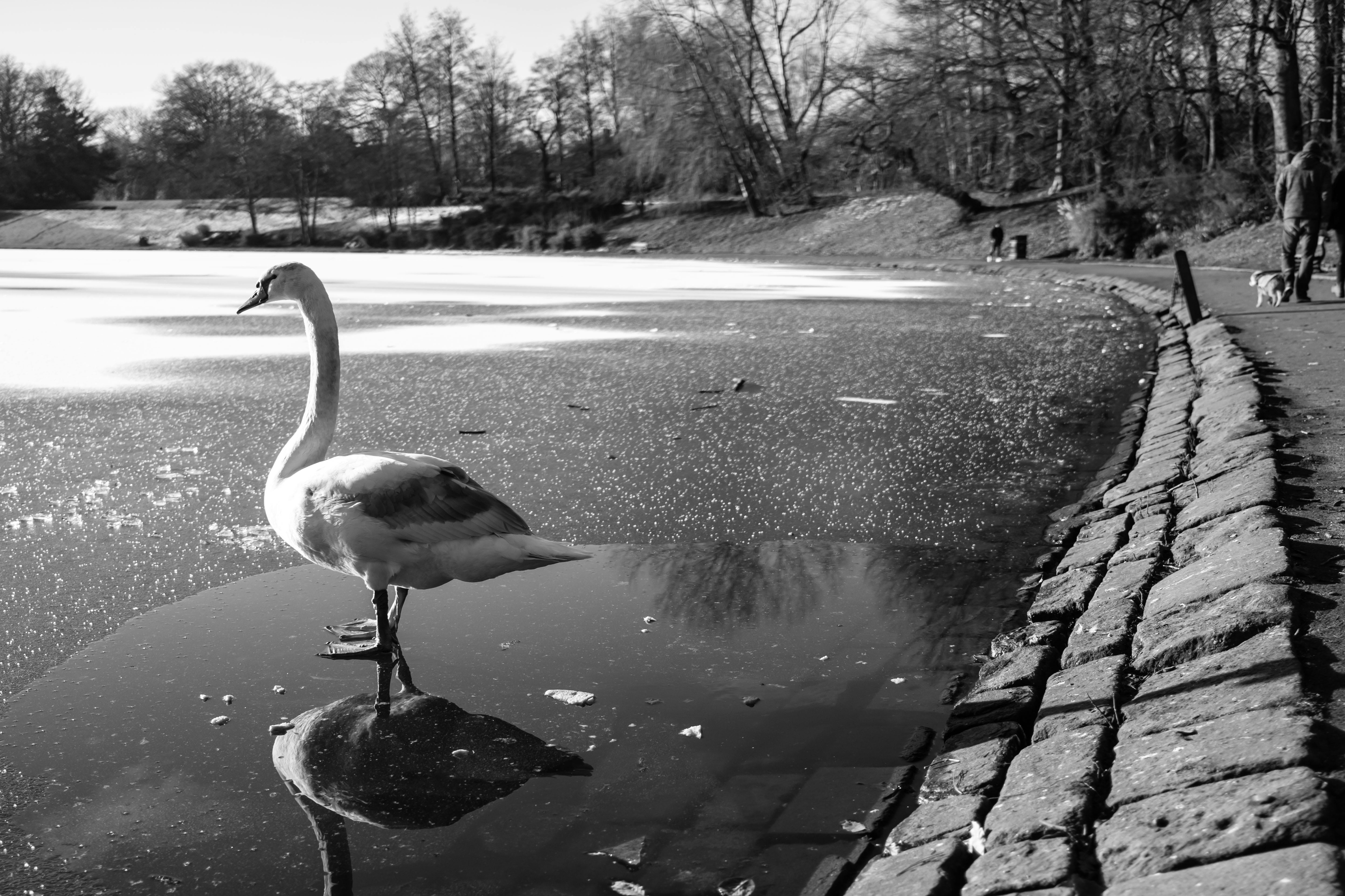 Animated Vice Photos, Download The BEST Free Animated Vice Stock Photos ...