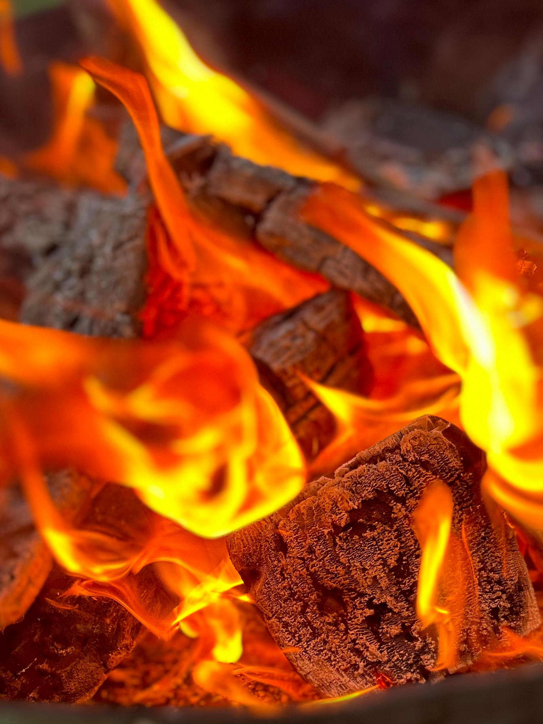 Close-up View of Glowing Campfire Embers · Free Stock Photo