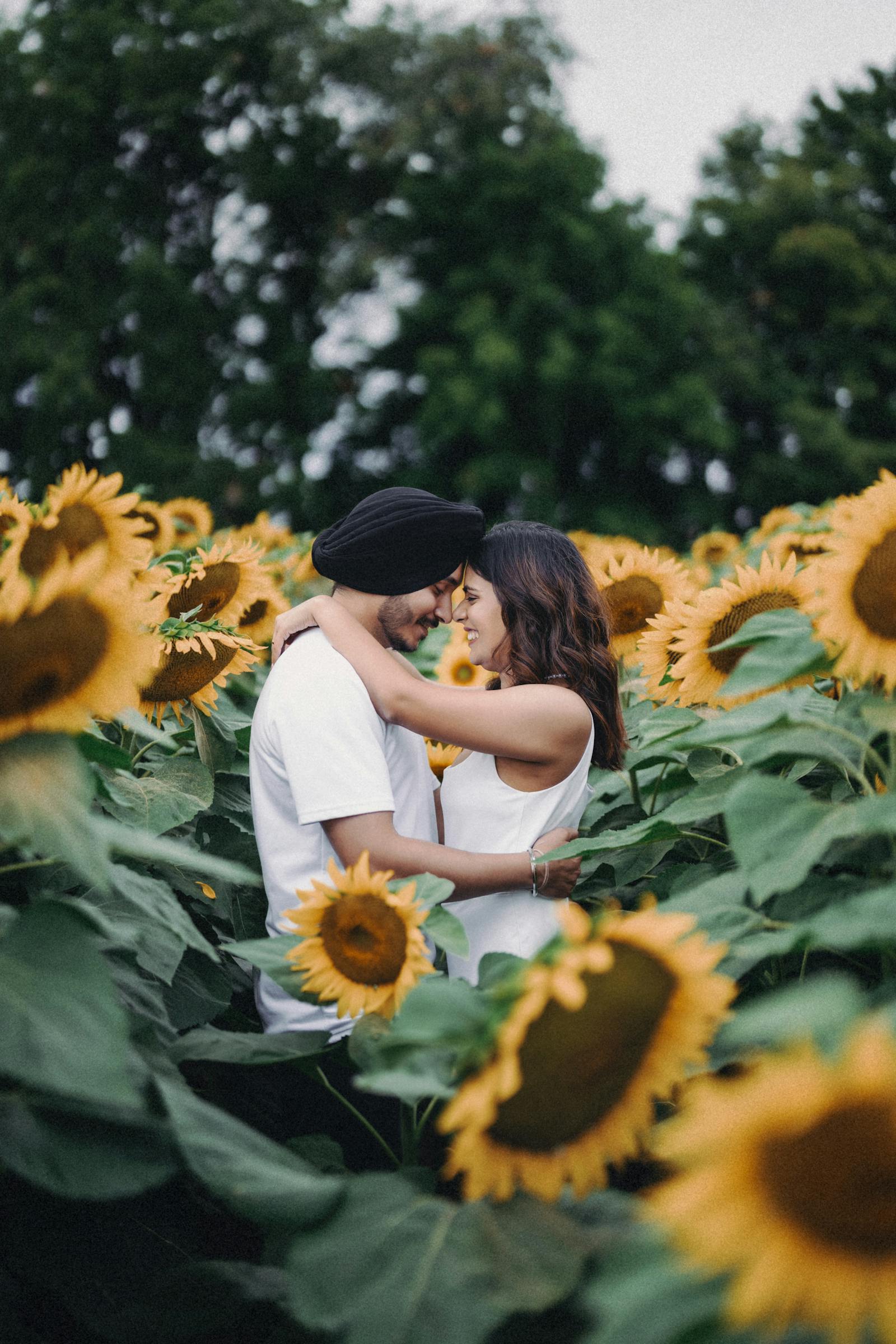 Couple Photoshoot Photos, Download The BEST Free Couple Photoshoot ...