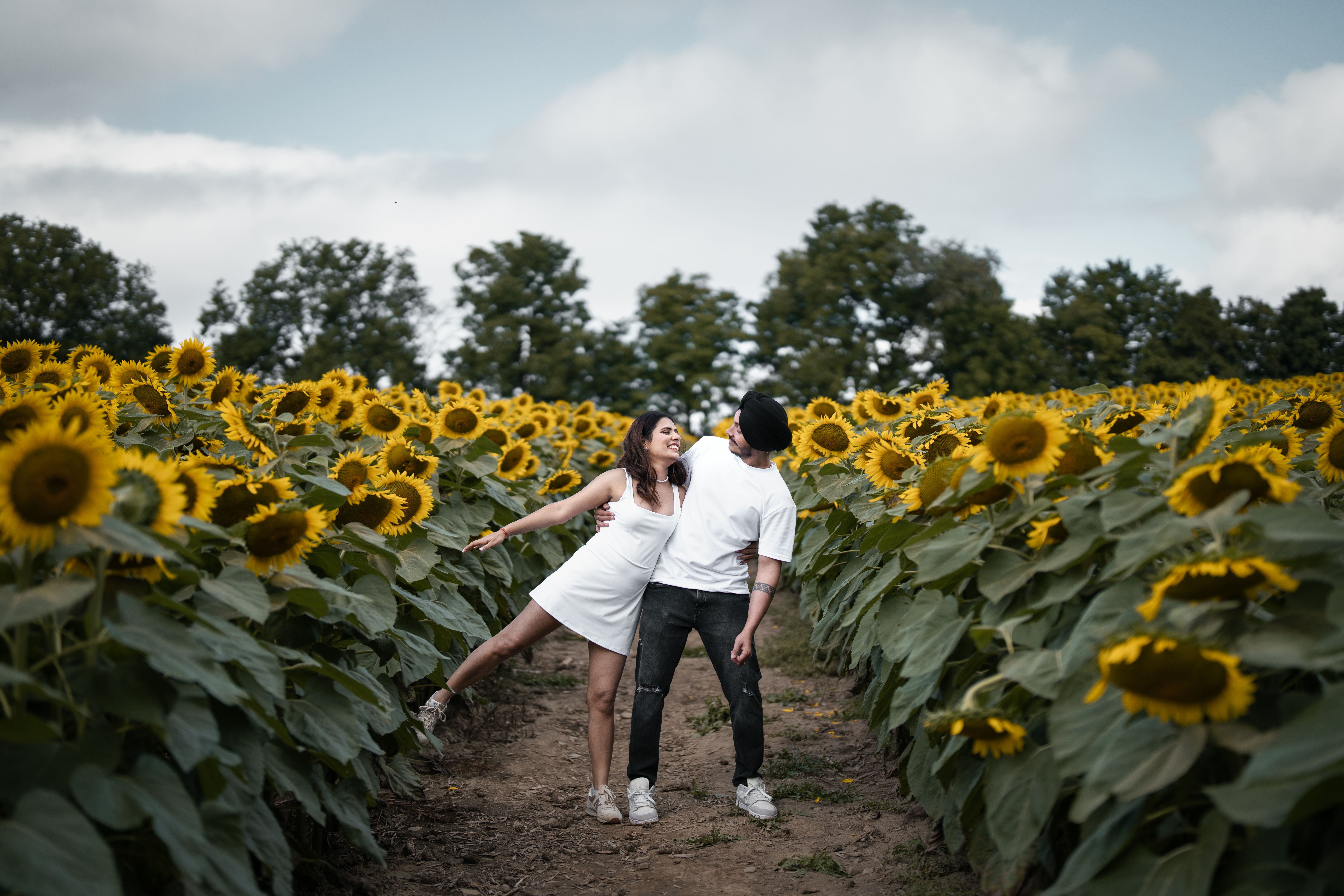 Romantic Couple in a Sunflower Field in Toronto · Free Stock Photo