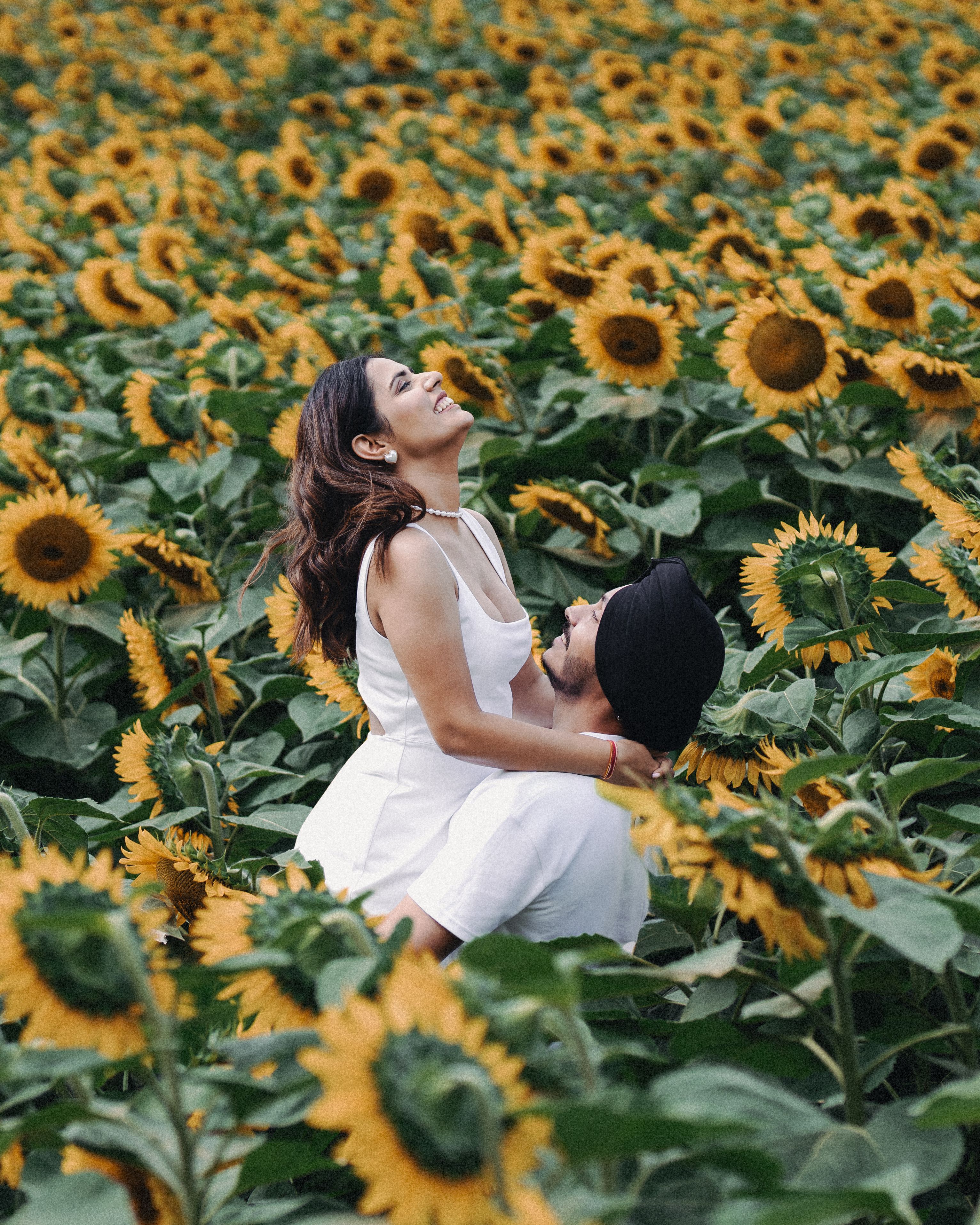 Romantic Couple in Sunflower Field, Toronto · Free Stock Photo