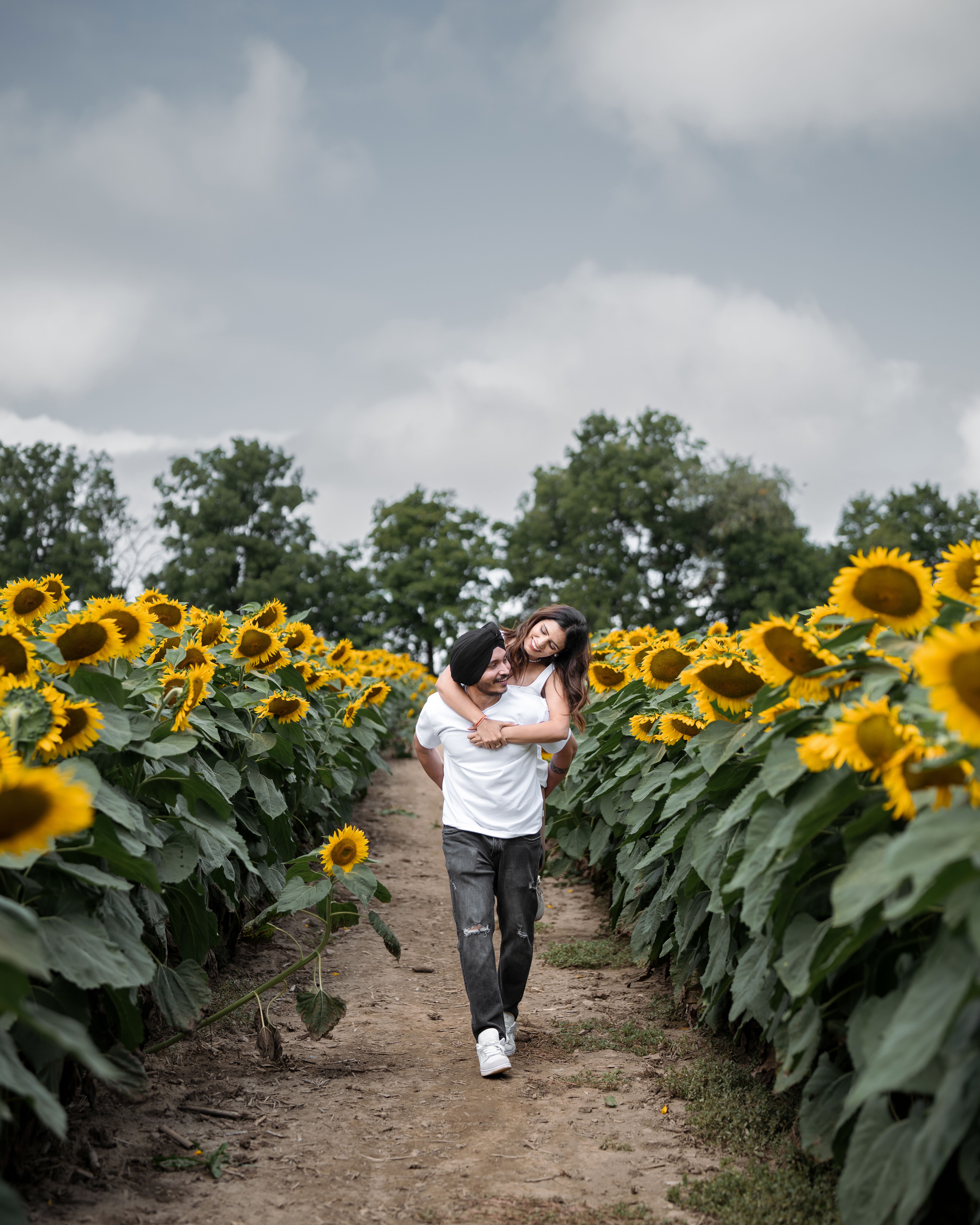 Romantic Couple in Sunflower Field, Toronto · Free Stock Photo
