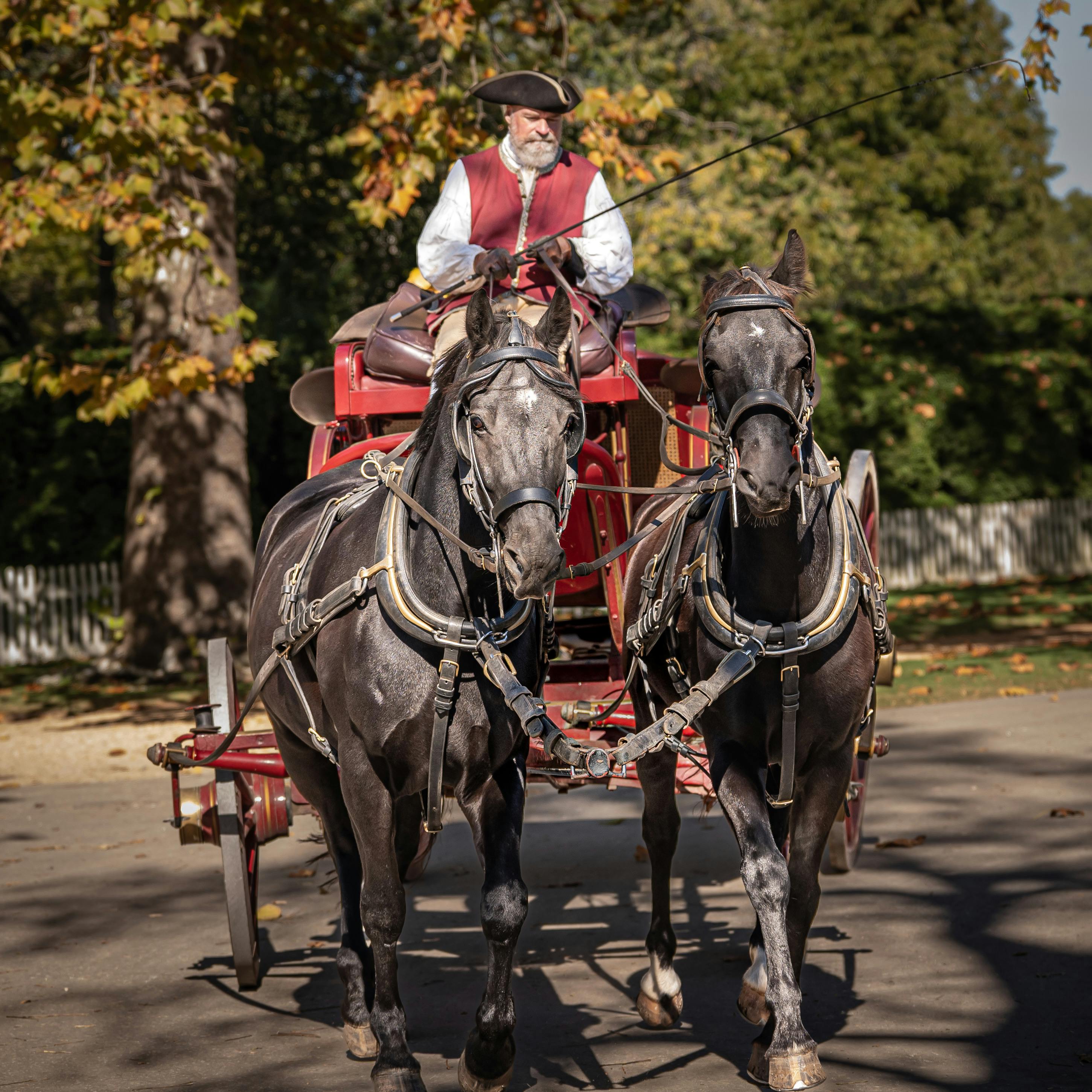Monochrome Photo of Man in Carriage · Free Stock Photo
