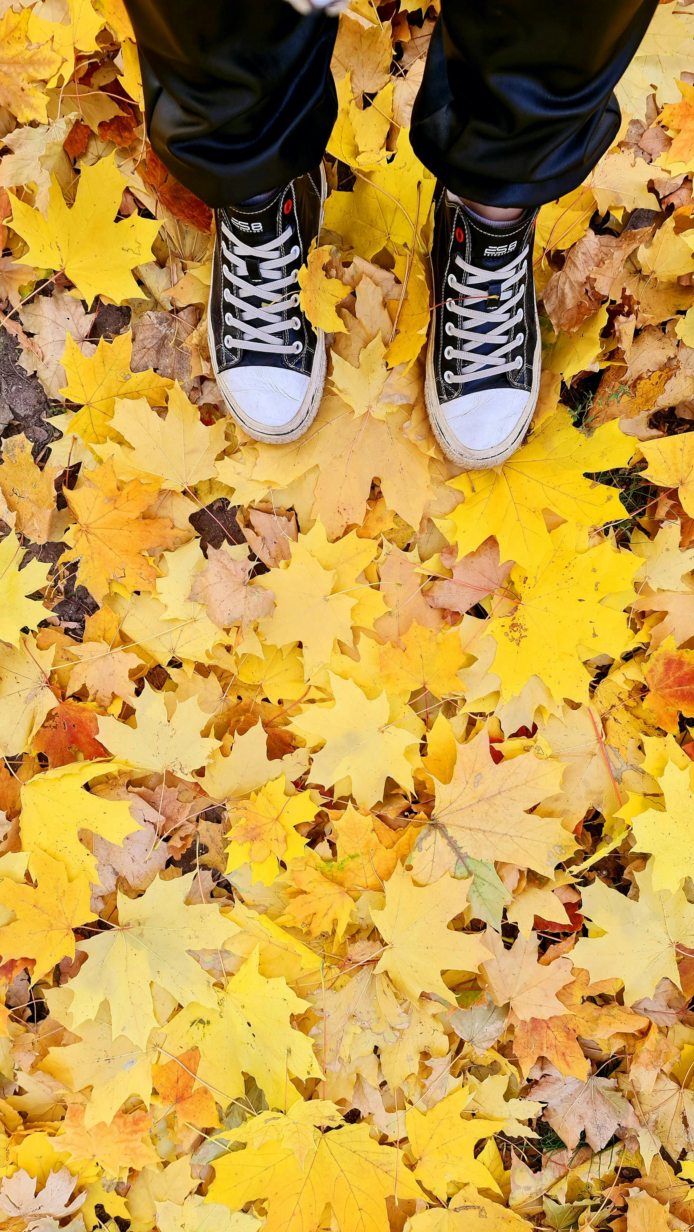 Лучшие фото (30 000+) по запросу «Converse Mockup» · Скачивайте ...