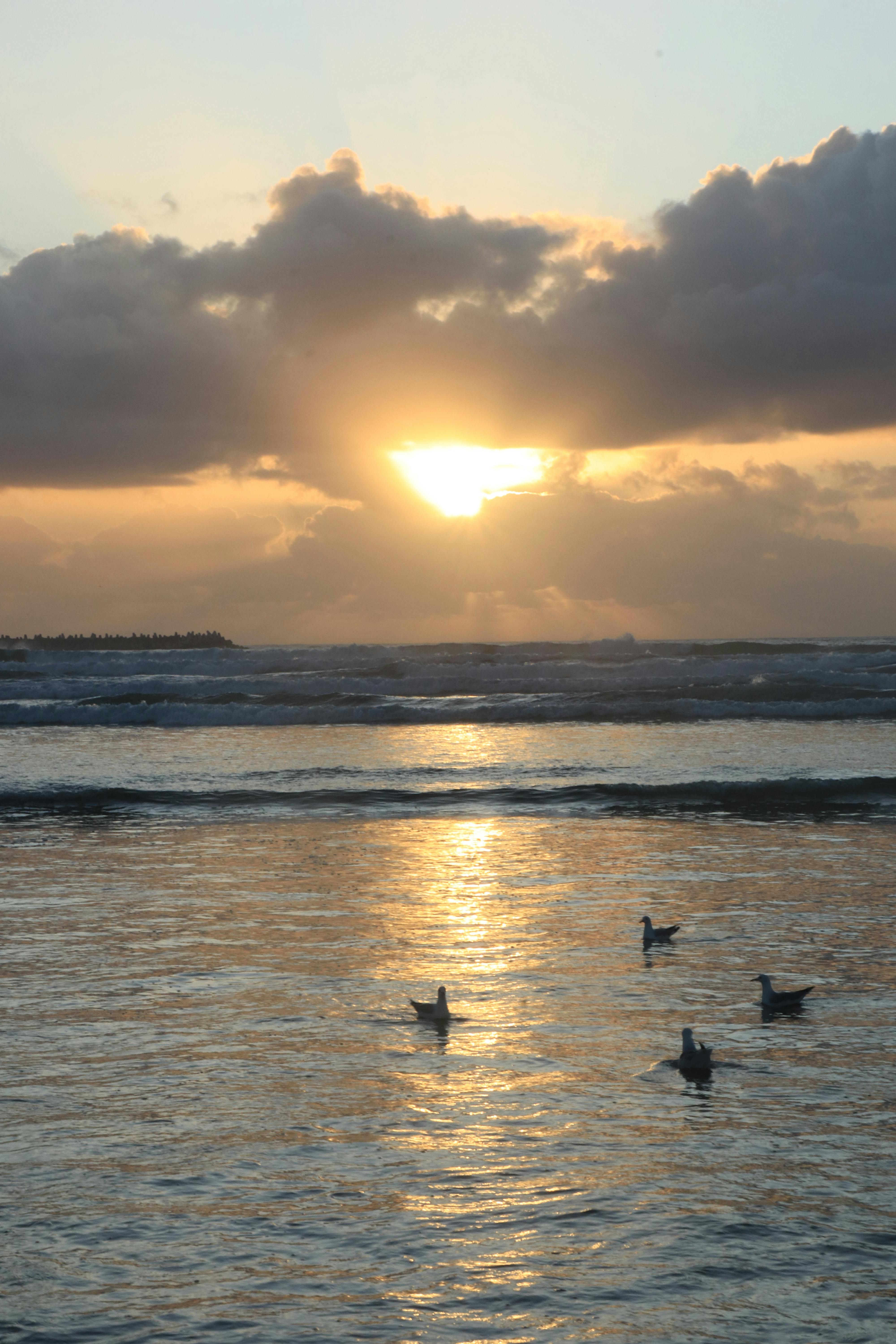 Tides In Oceans Photos, Download The BEST Free Tides In Oceans Stock ...