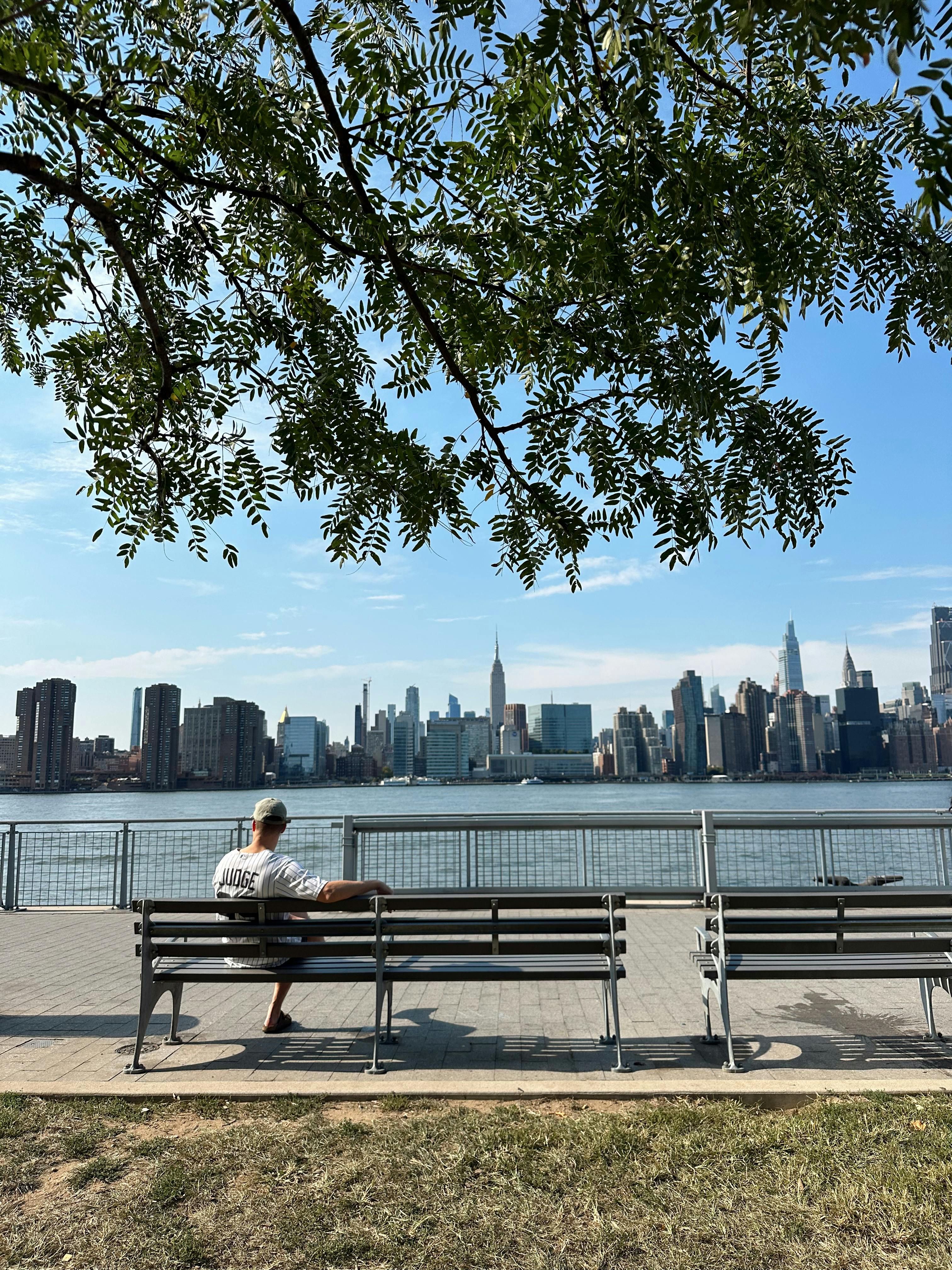 Man Relaxing on Bench Overlooking NYC Skyline · Free Stock Photo