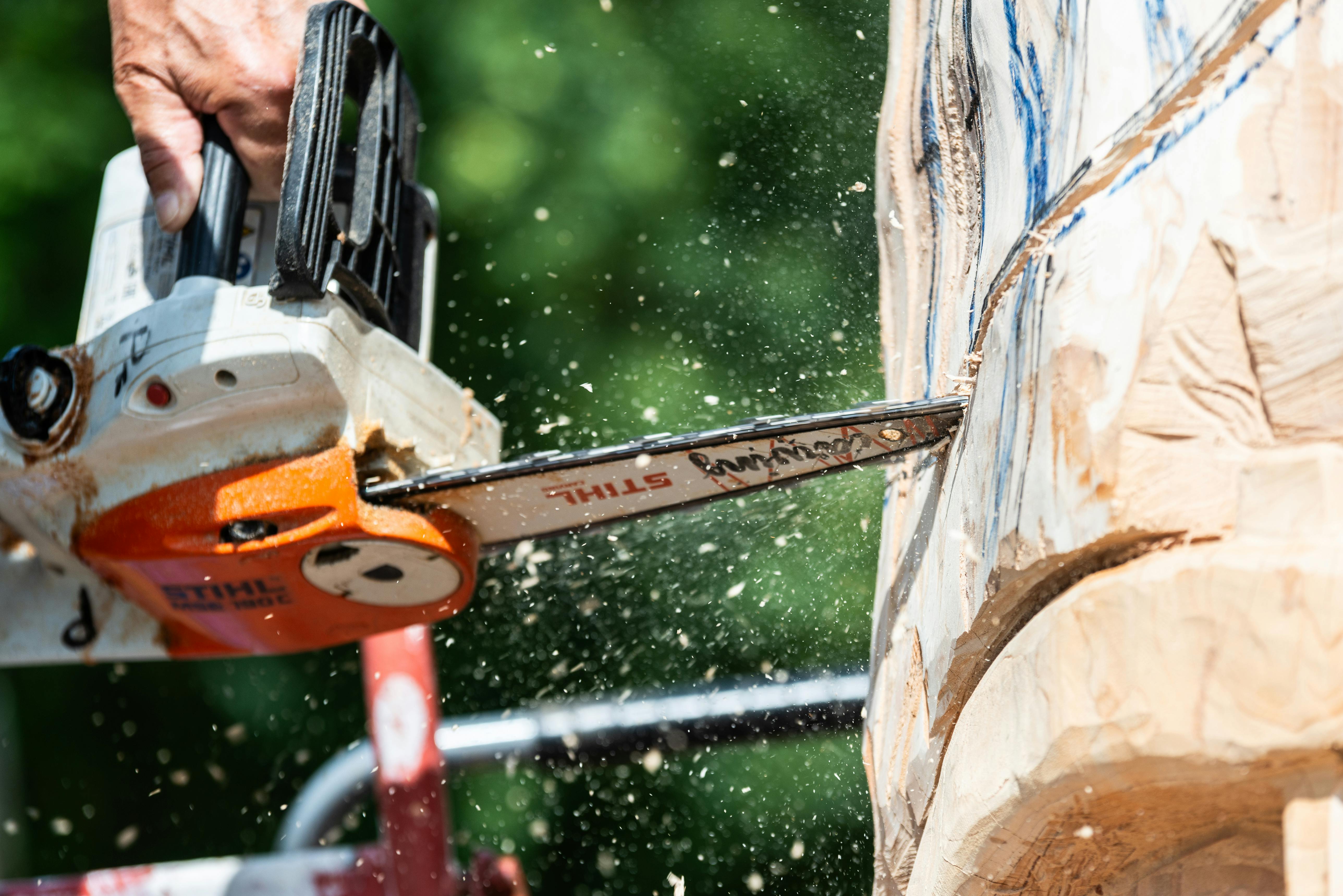Dynamic Chainsaw Wood Sculpting in Action · Free Stock Photo