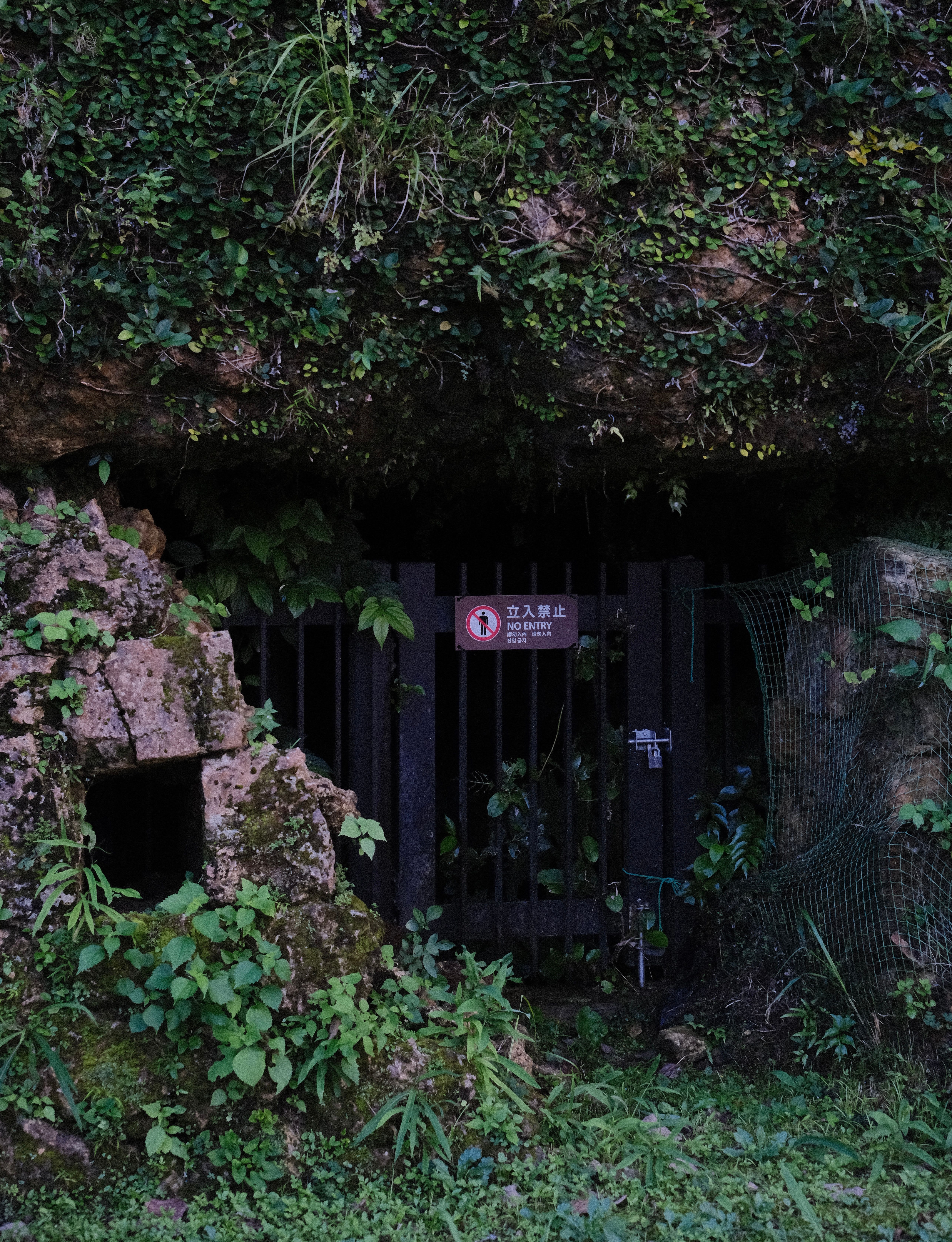 Mysterious Gated Cave Entrance In Lush Greenery Free Stock Photo