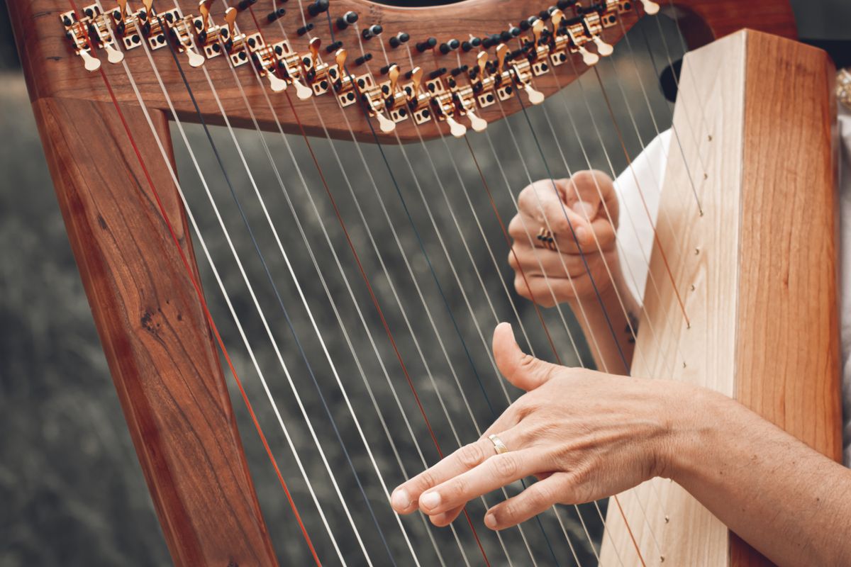 Harp Photos, Download The BEST Free Harp Stock Photos & HD Images