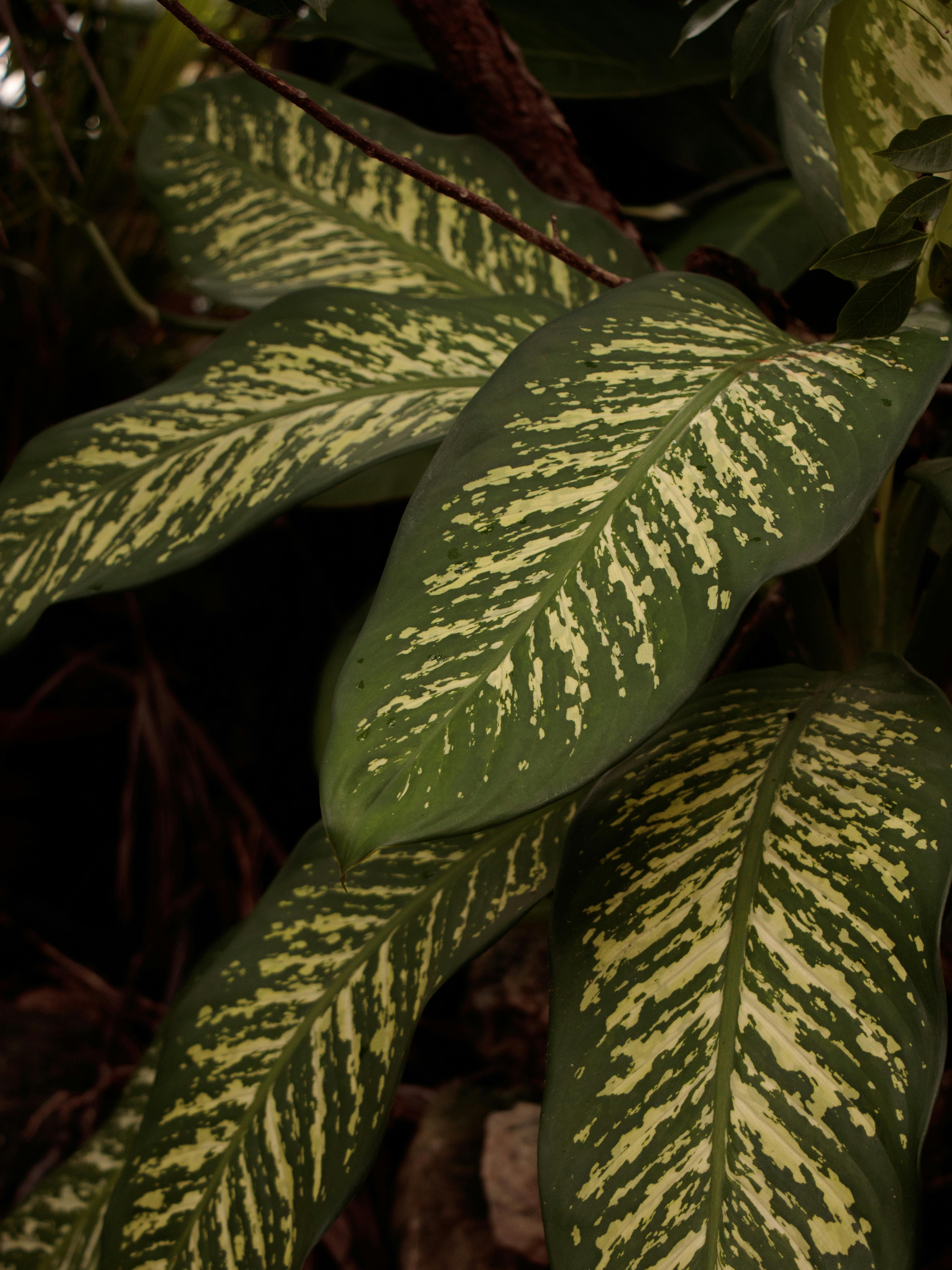 Variation In Color Photos, Download The BEST Free Variation In Color ...