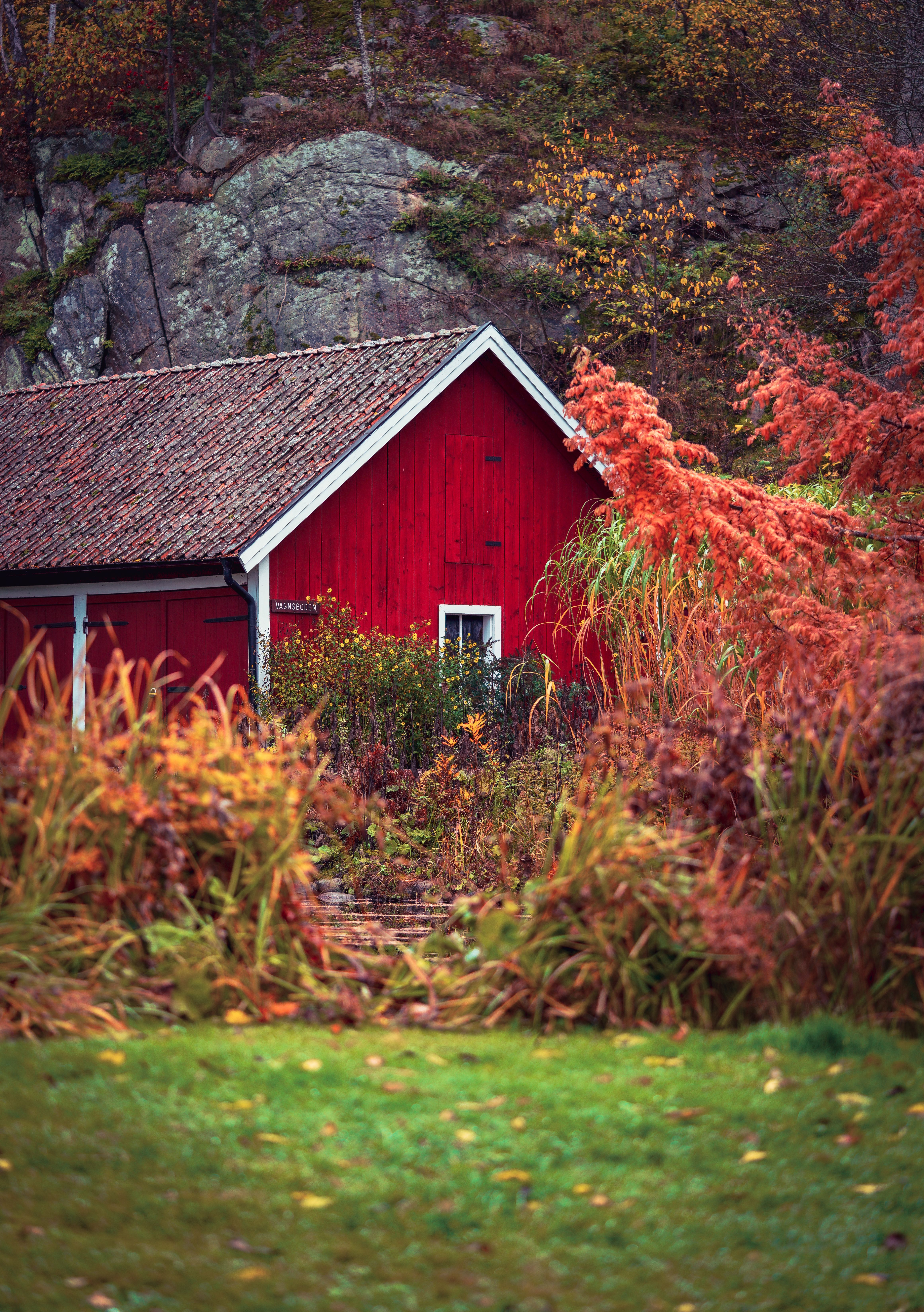 Charming Red Barn Surrounded by Autumn Foliage · Free Stock Photo
