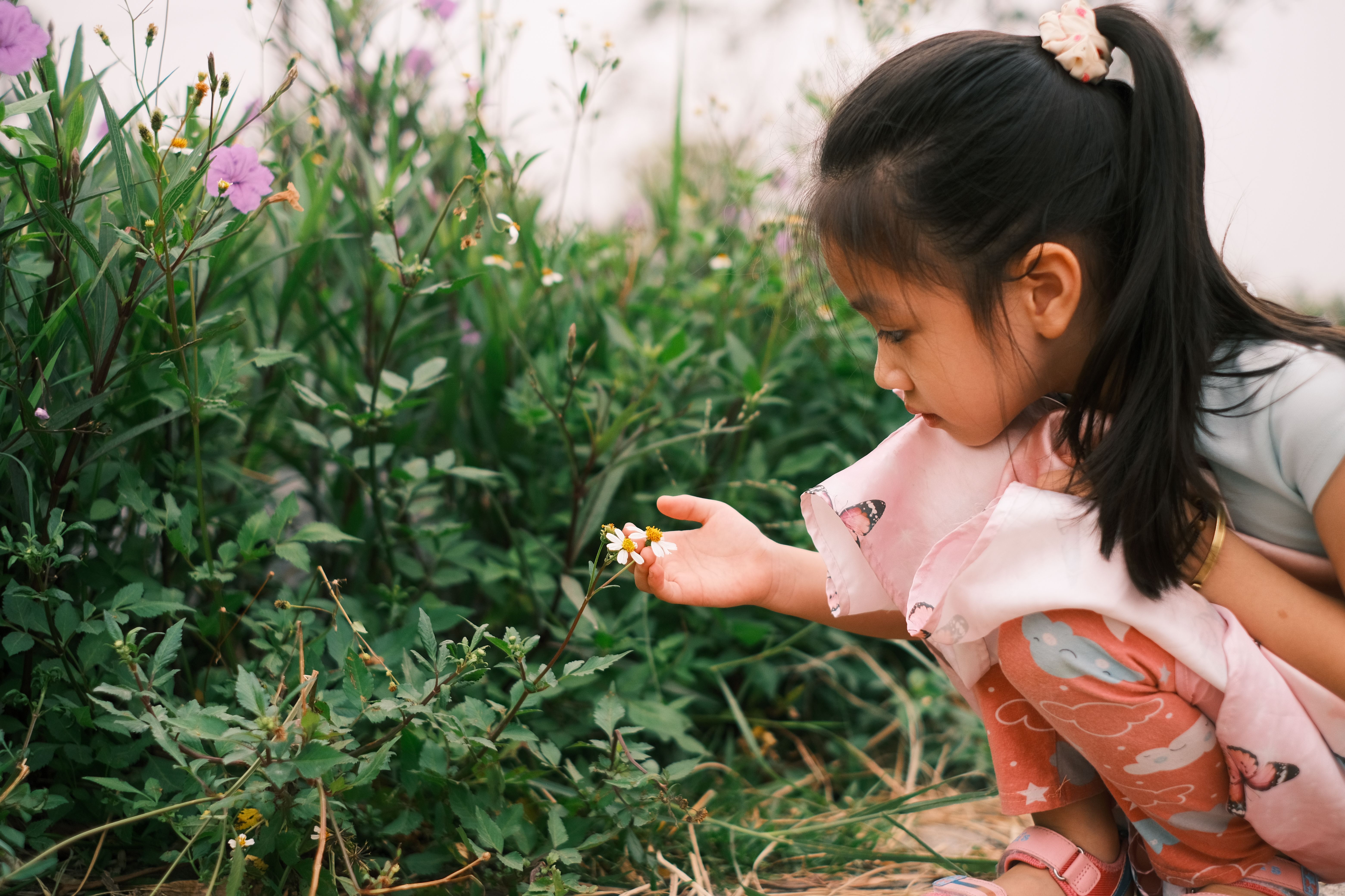 Young Girl Exploring Nature with Curiosity · Free Stock Photo