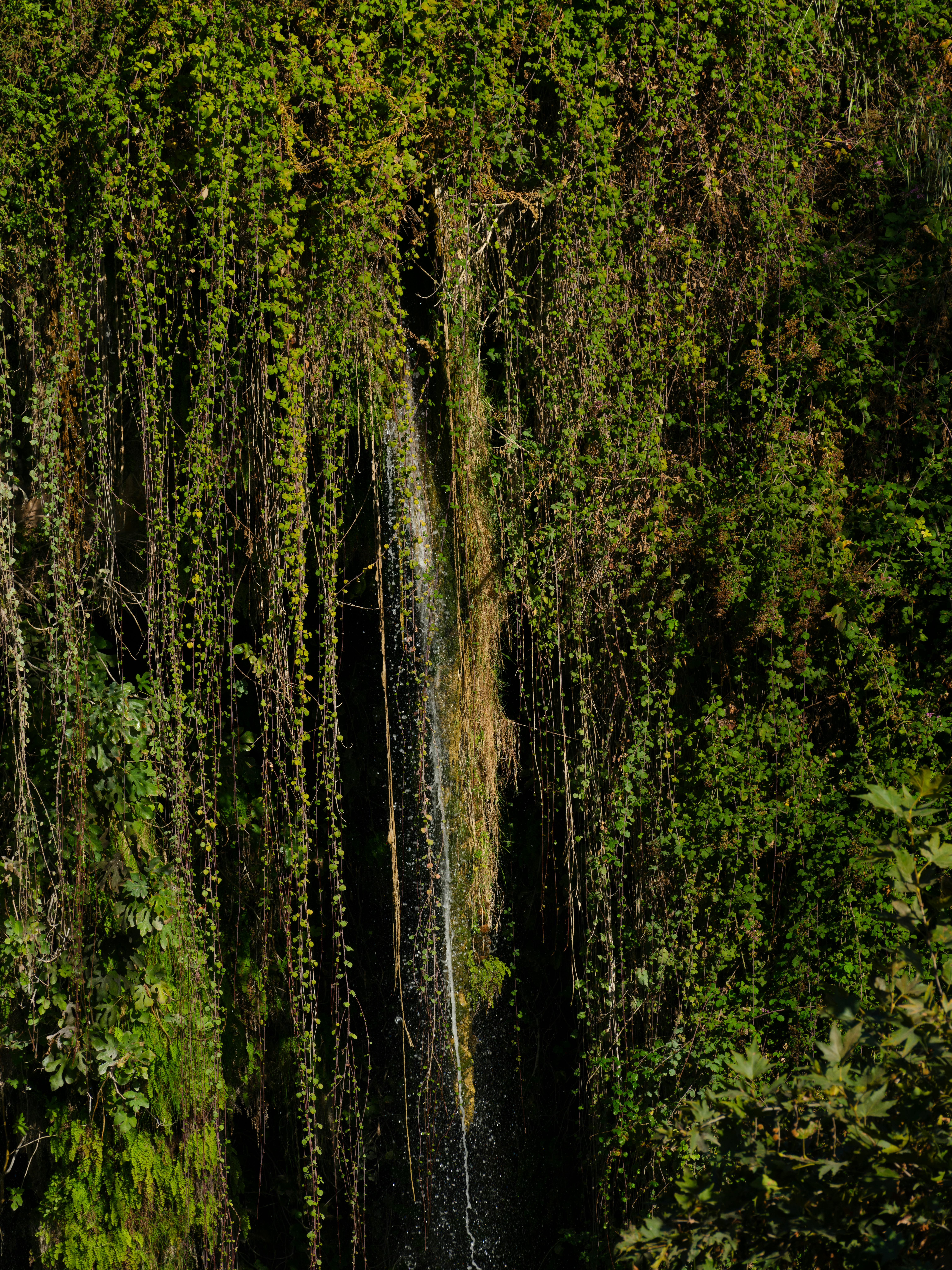 Lush Waterfall in Verdant Forest Landscape · Free Stock Photo