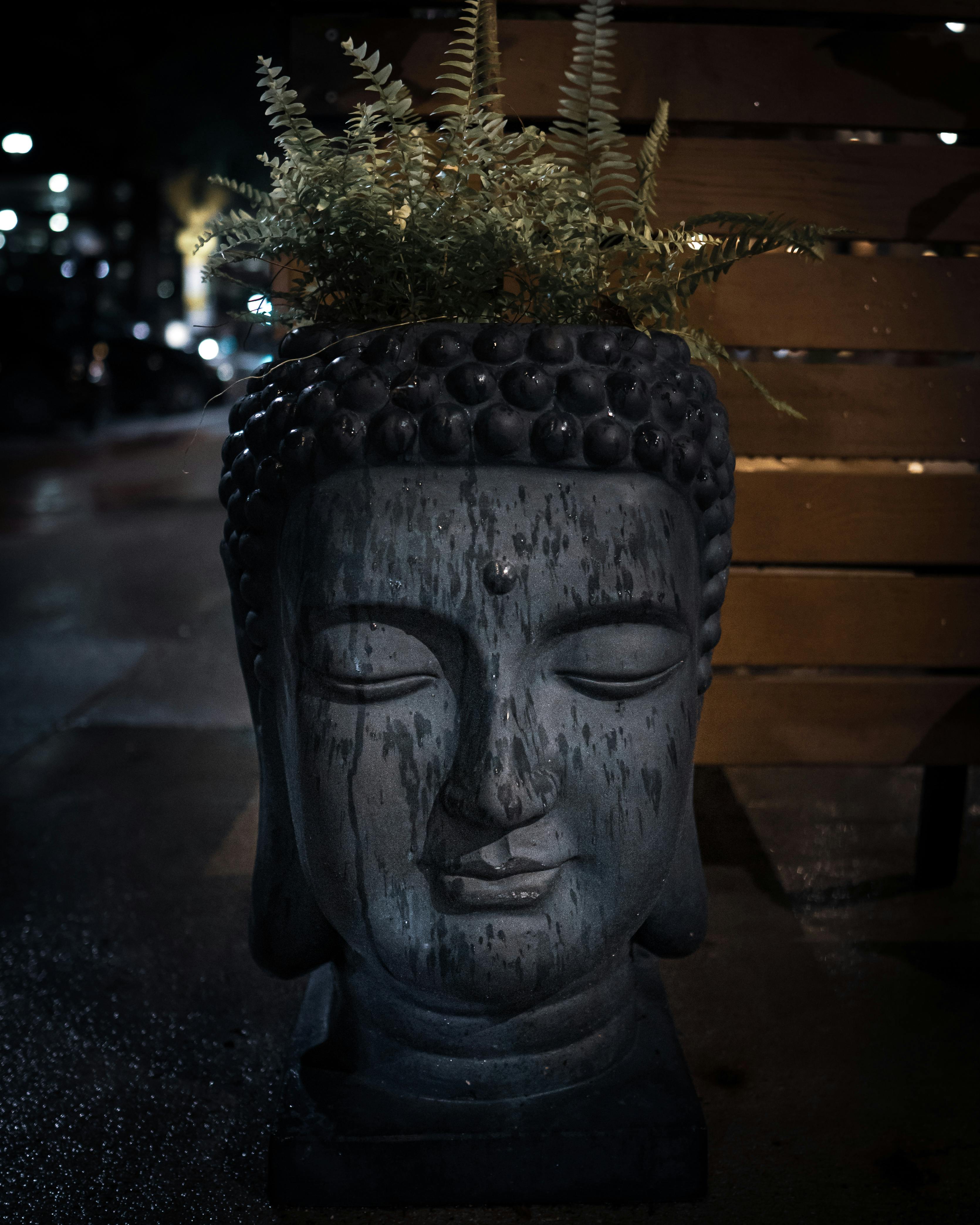 Dark Buddha Photos, Download The BEST Free Dark Buddha Stock Photos ...