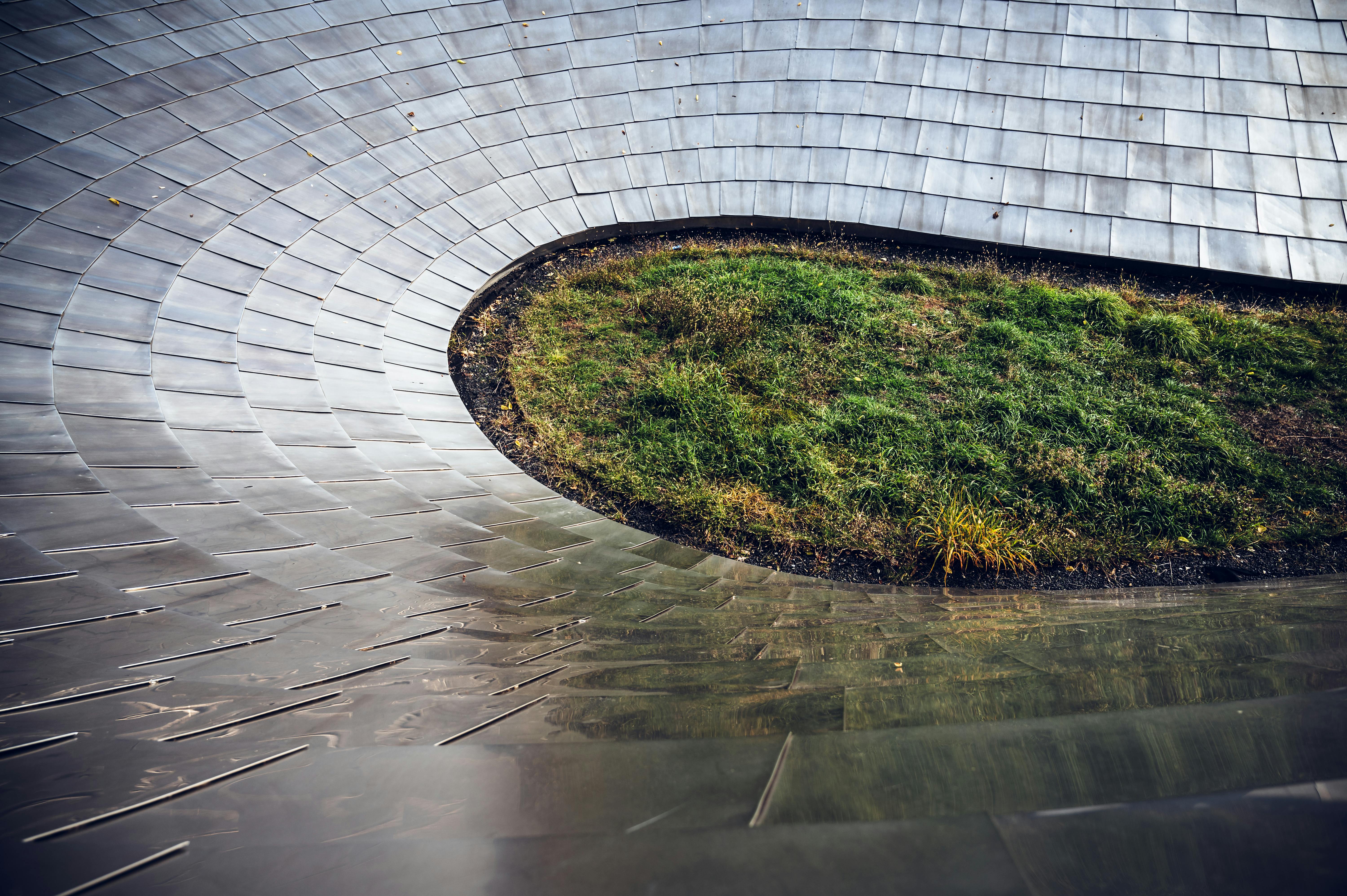 Curved Metal Structure in Chicago Park · Free Stock Photo