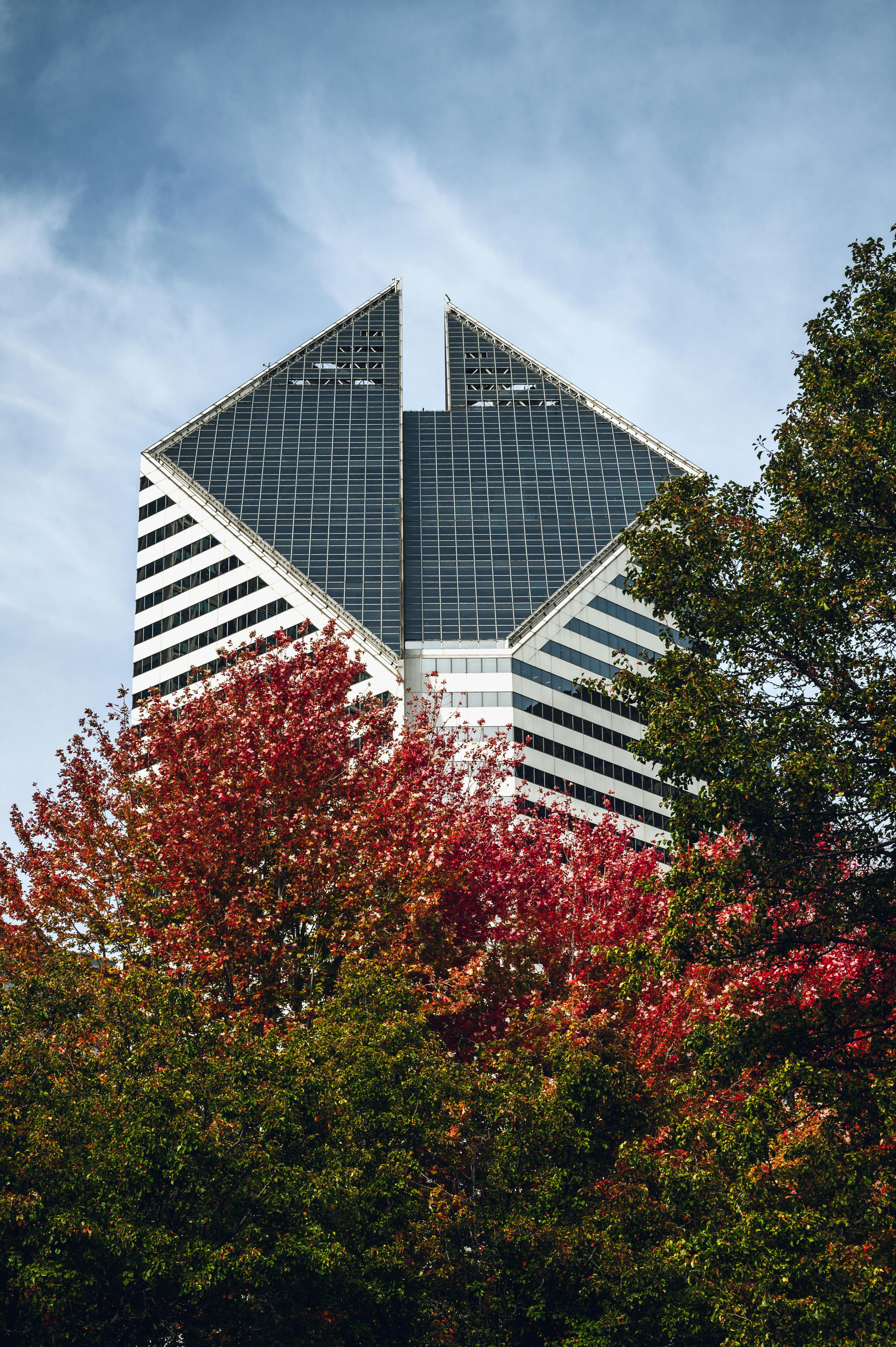 Crain Photos, Download The BEST Free Crain Stock Photos & HD Images