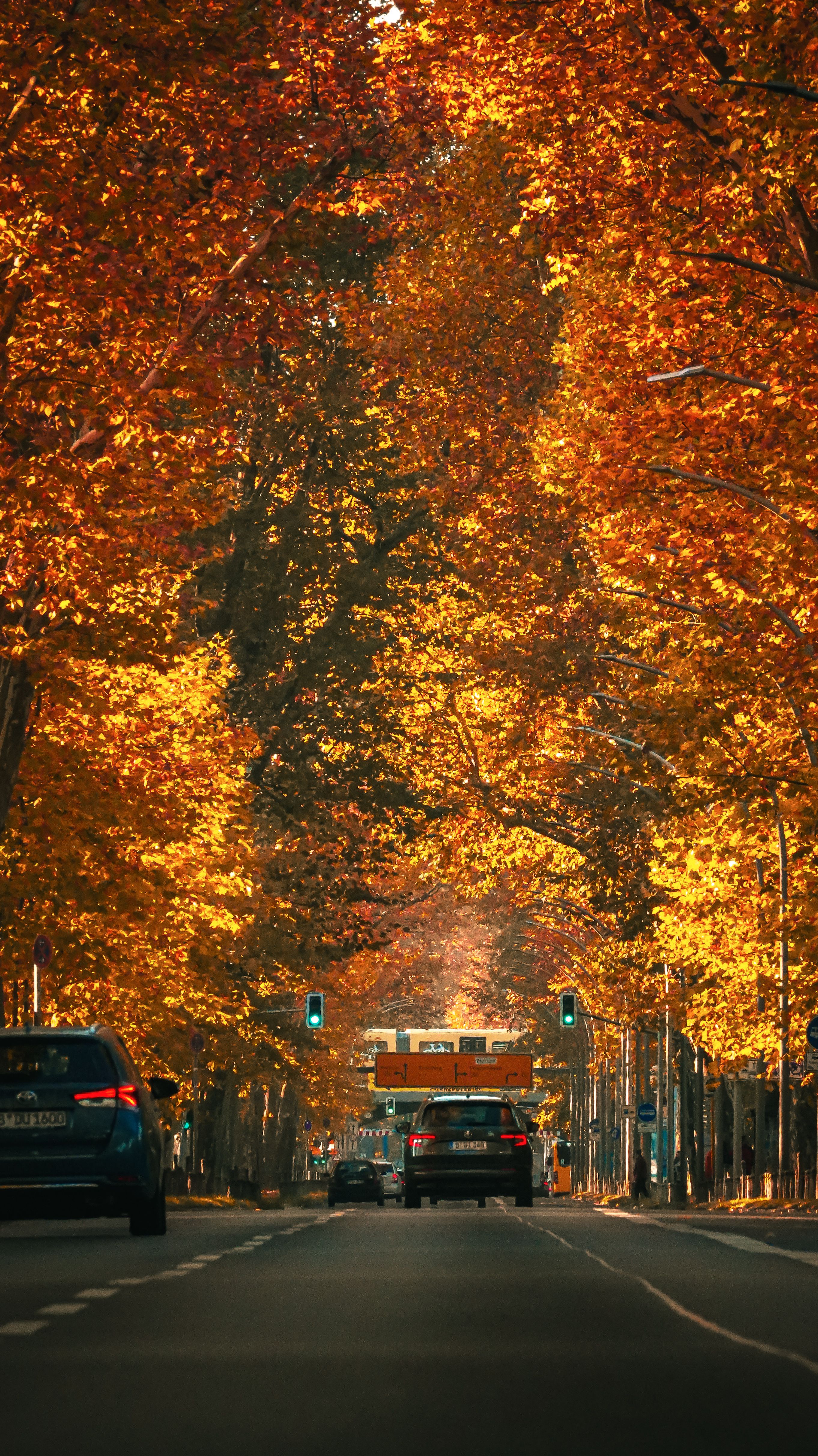 Autumn Drive through Berlin's Vibrant Streets · Free Stock Photo