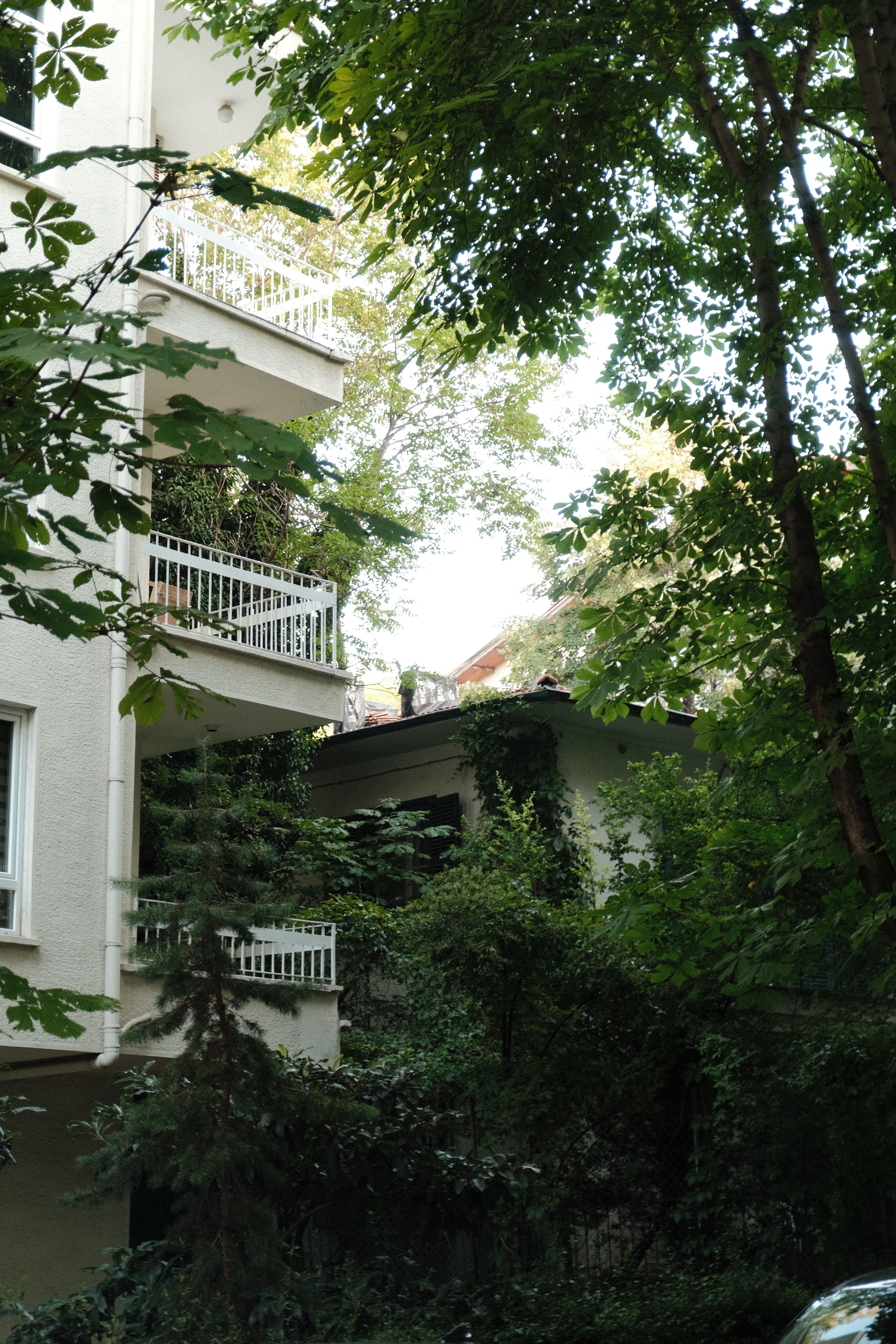 Green Urban Landscape with Apartments and Trees · Free Stock Photo