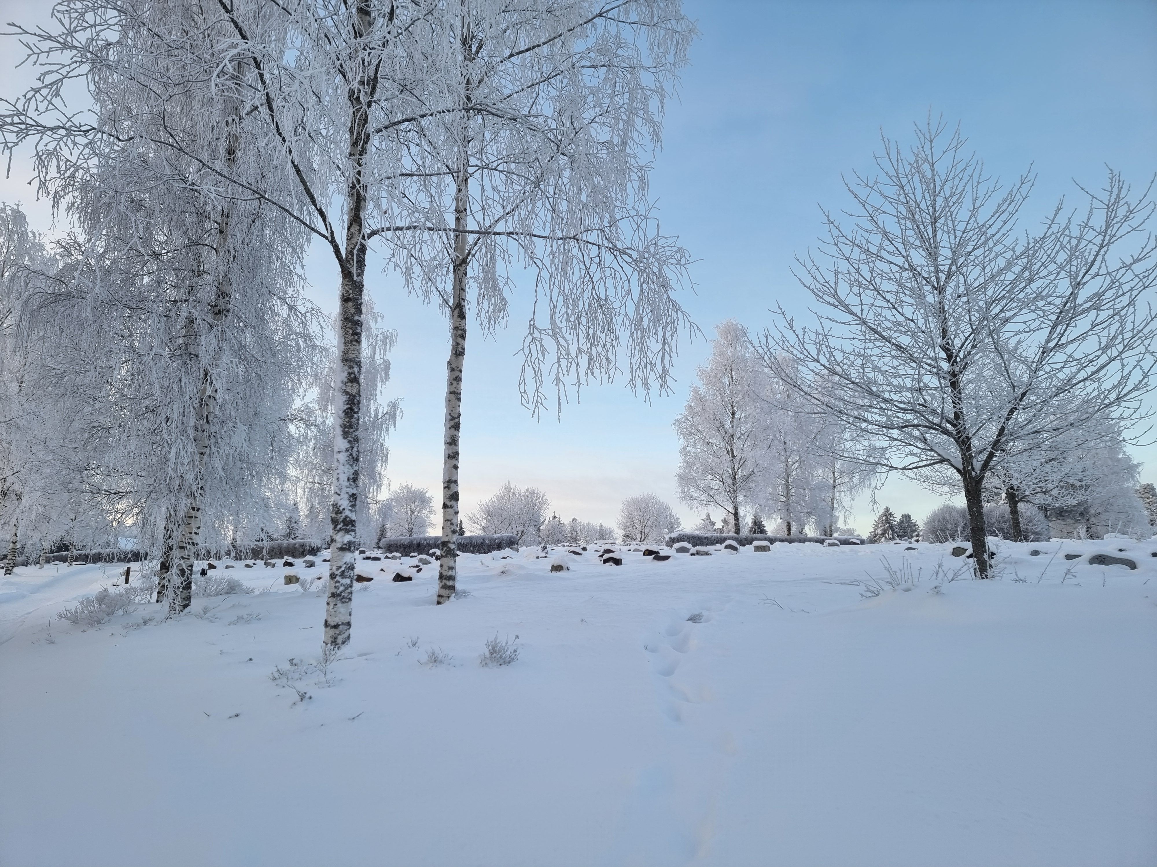 Snowy Winter Scene in Akershus, Norway · Free Stock Photo