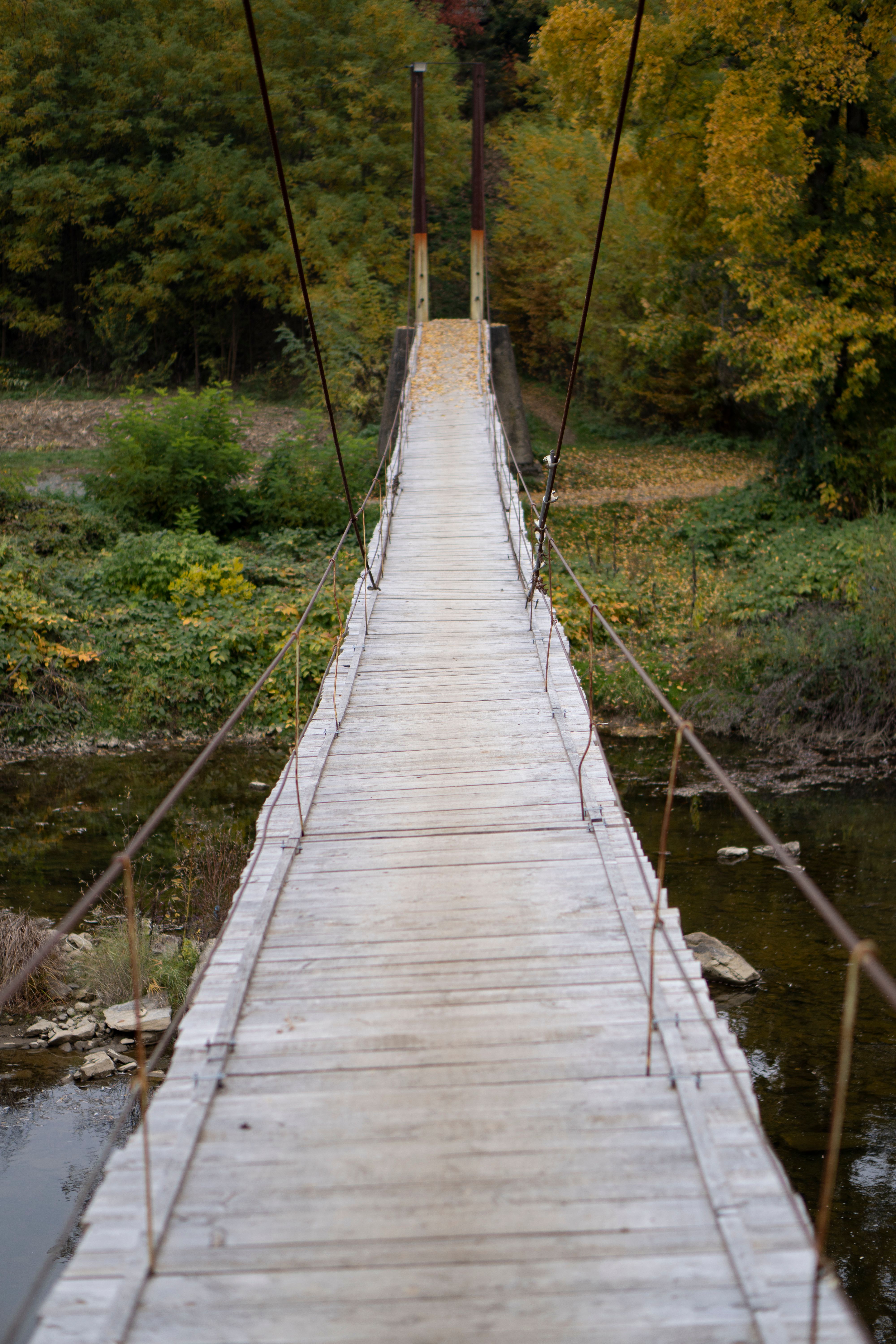Nostalgic Wooden Suspension Bridge in Autumn · Free Stock Photo