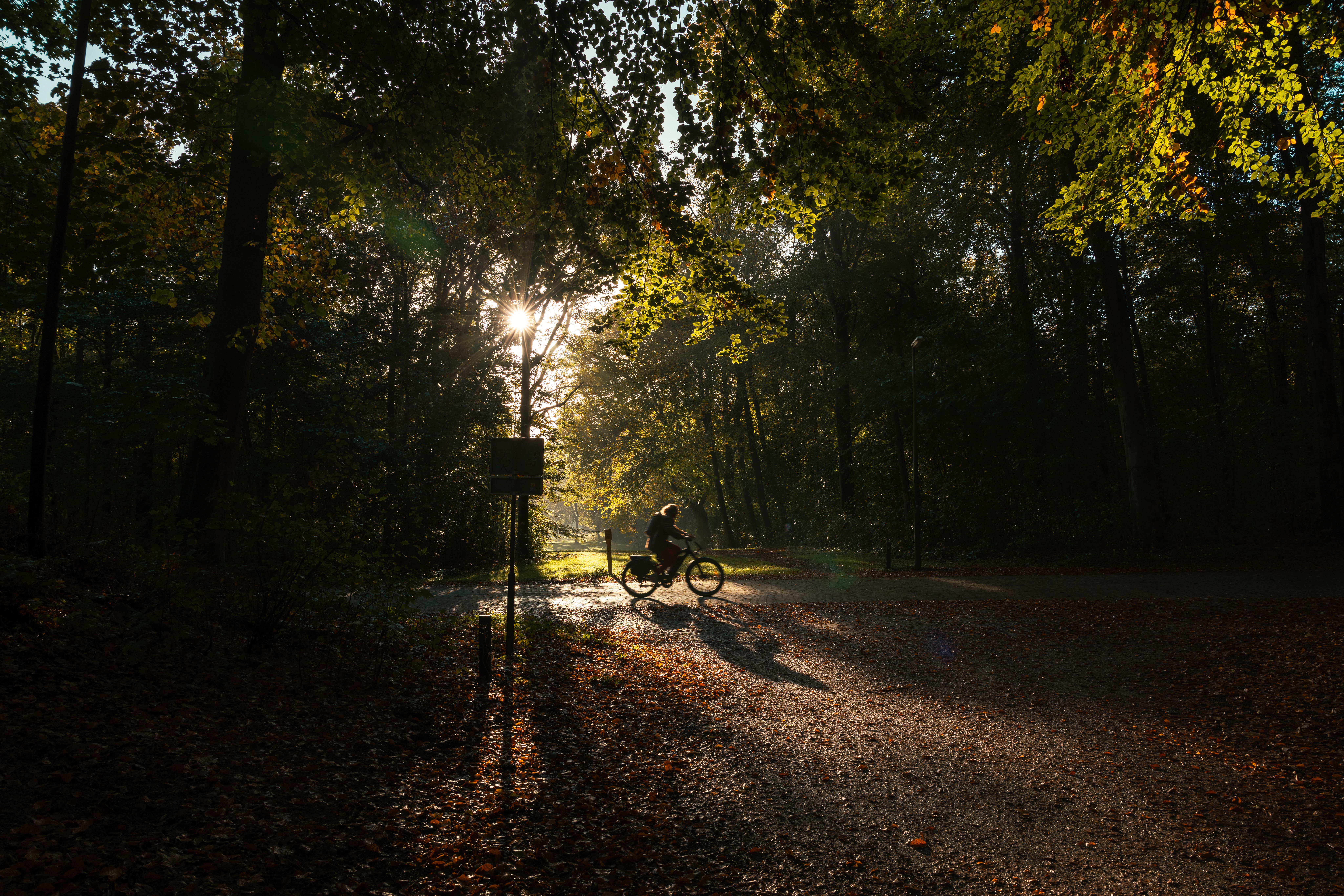 P'tit Train du Nord : la piste cyclable mythique d… | CycloQuébec