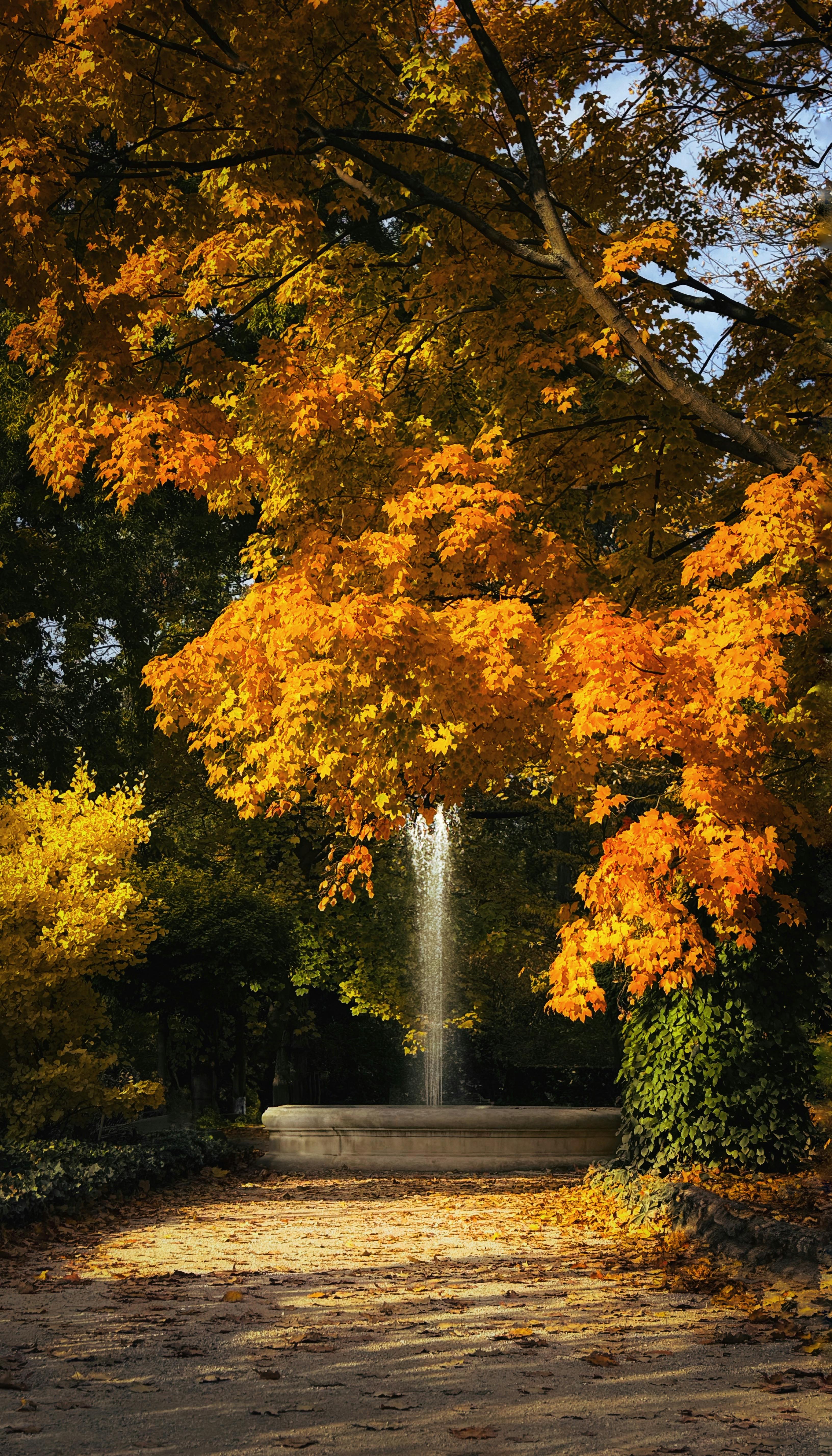 Golden Autumn Tree and Fountain in Park · Free Stock Photo
