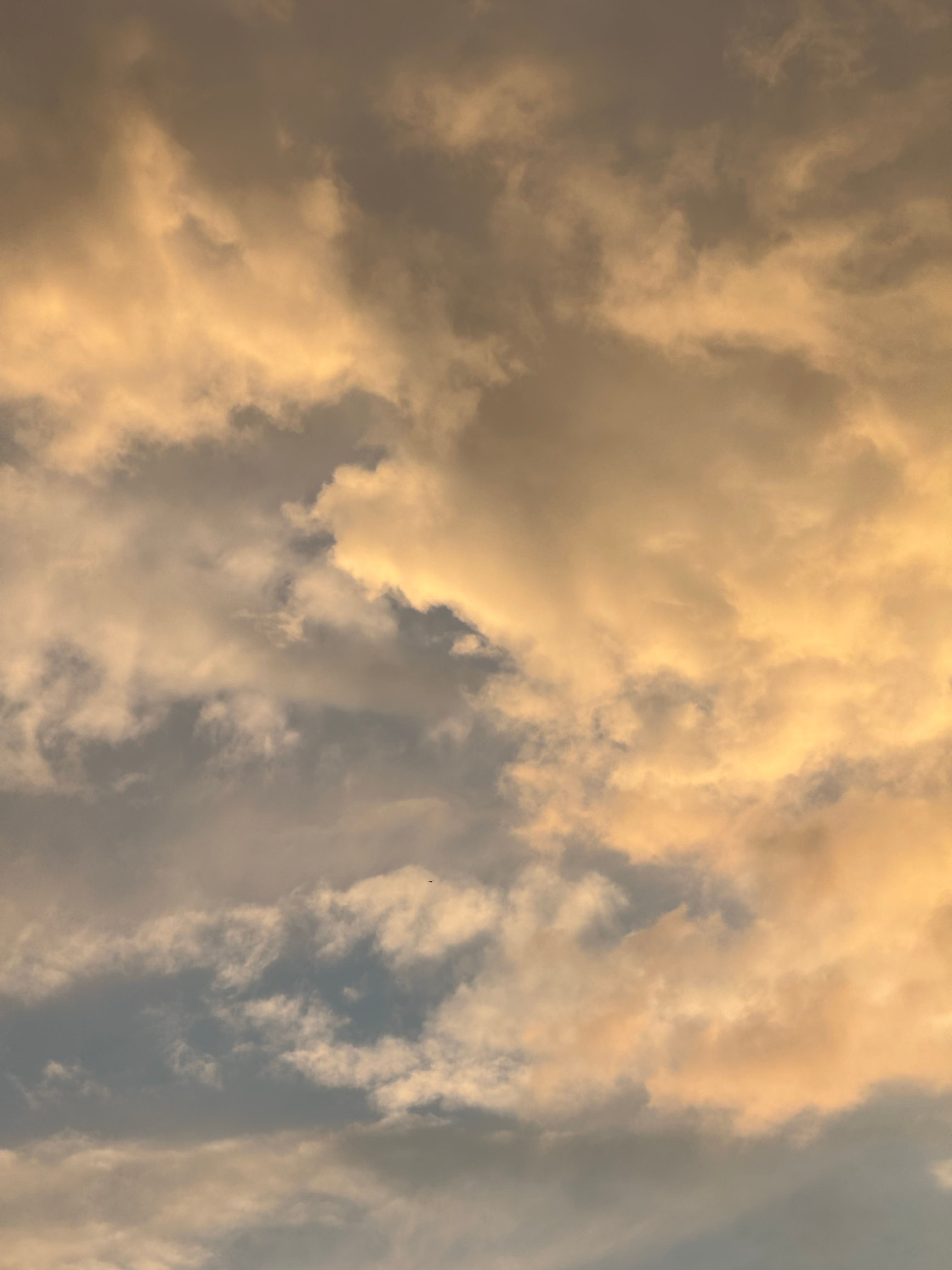 Golden Hour Clouds in the Evening Sky · Free Stock Photo