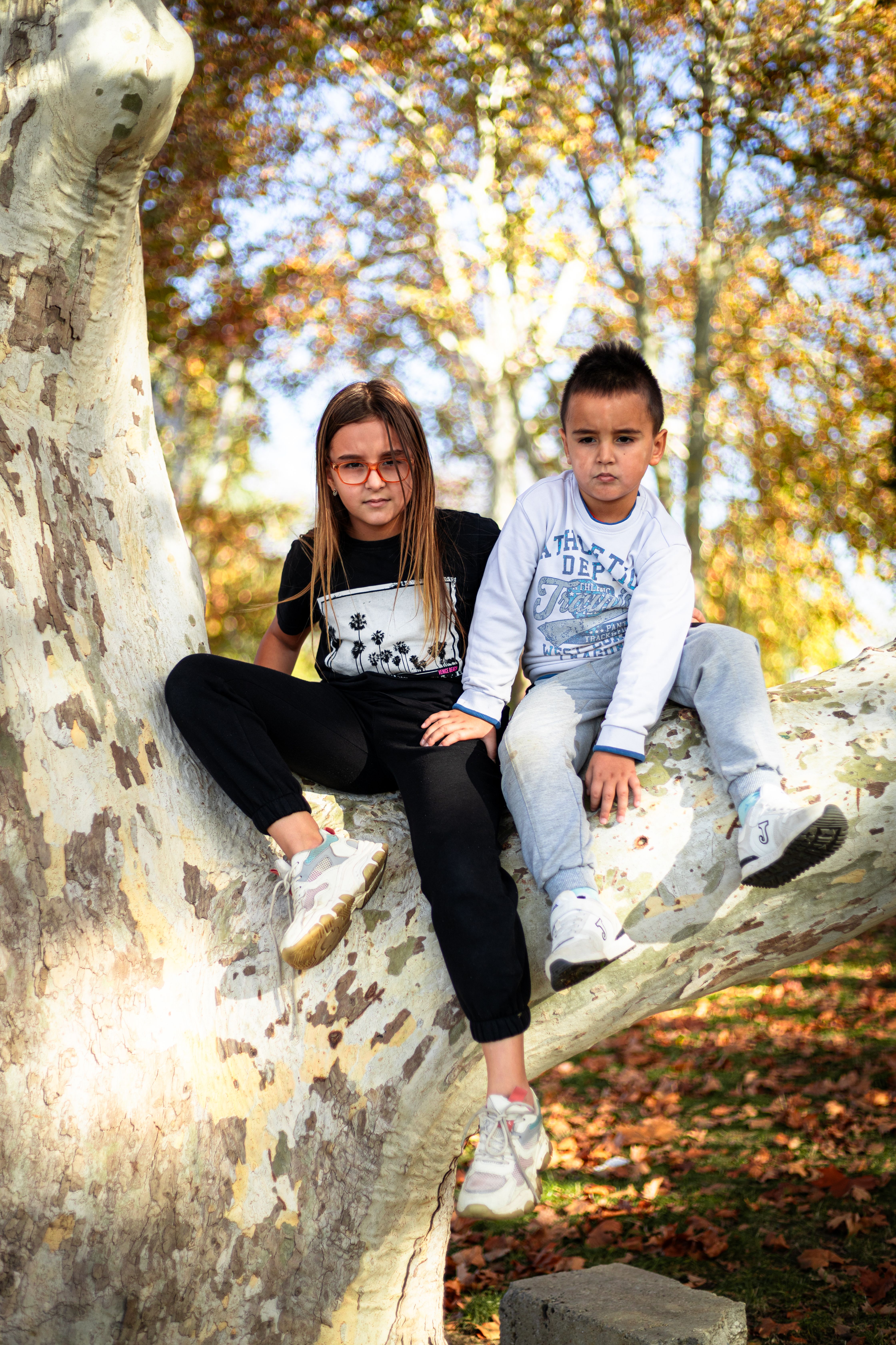 Children Enjoying a Tree Climb in Autumn Park · Free Stock Photo