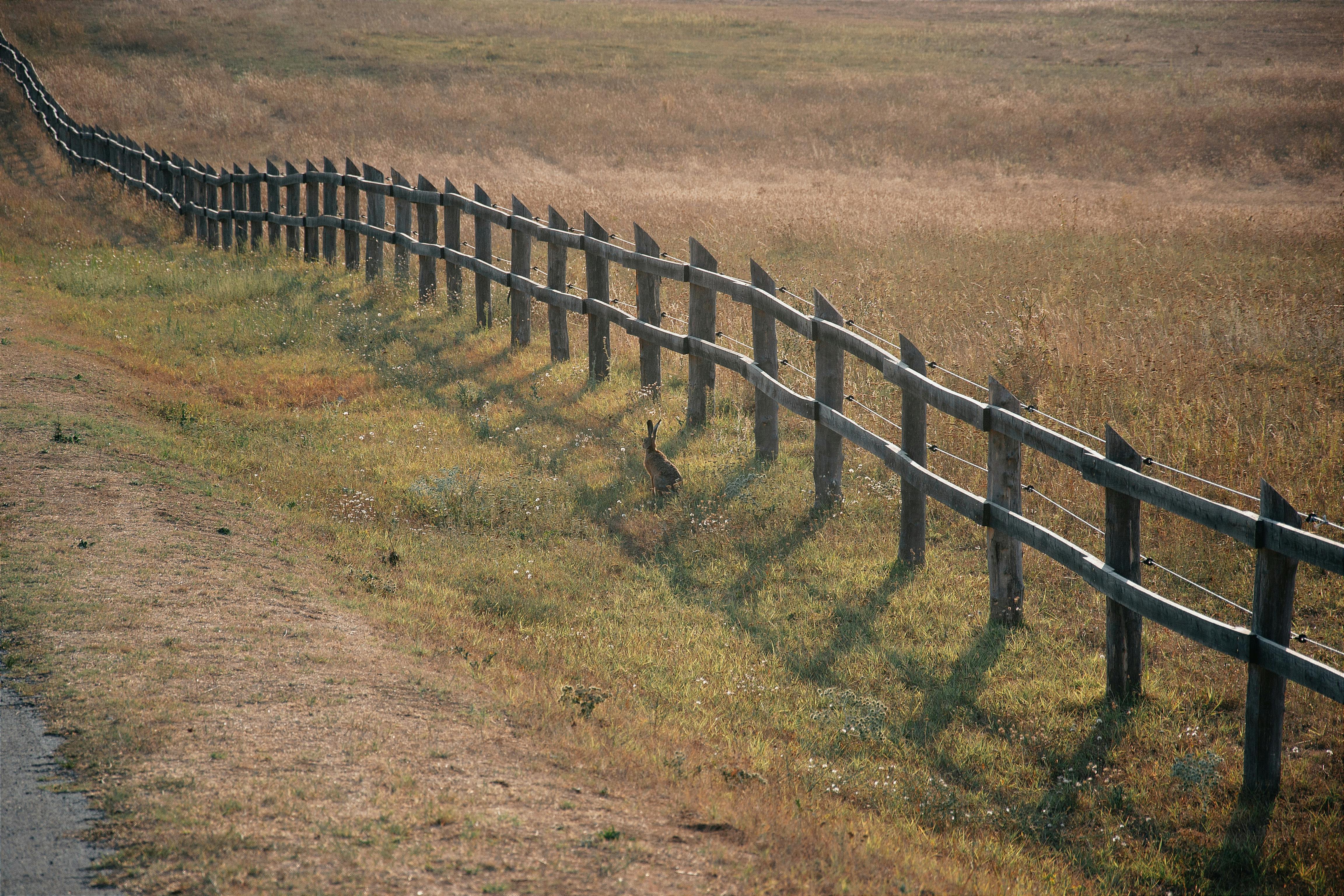 Rustic Hungarian Countryside Landscape with Rabbit · Free Stock Photo